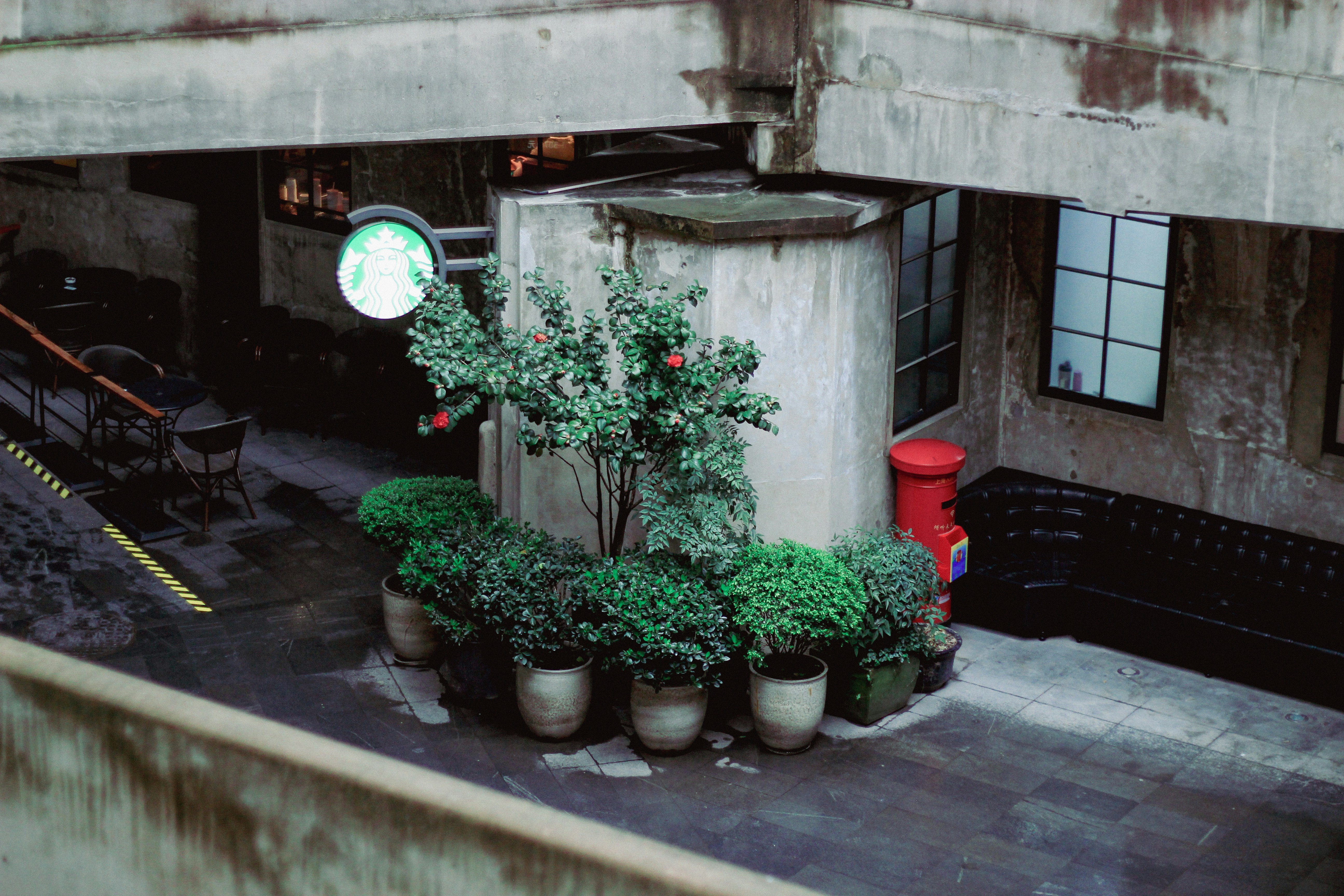 Potted Greenery and Red Mailbox Near Cozy Café Entrance