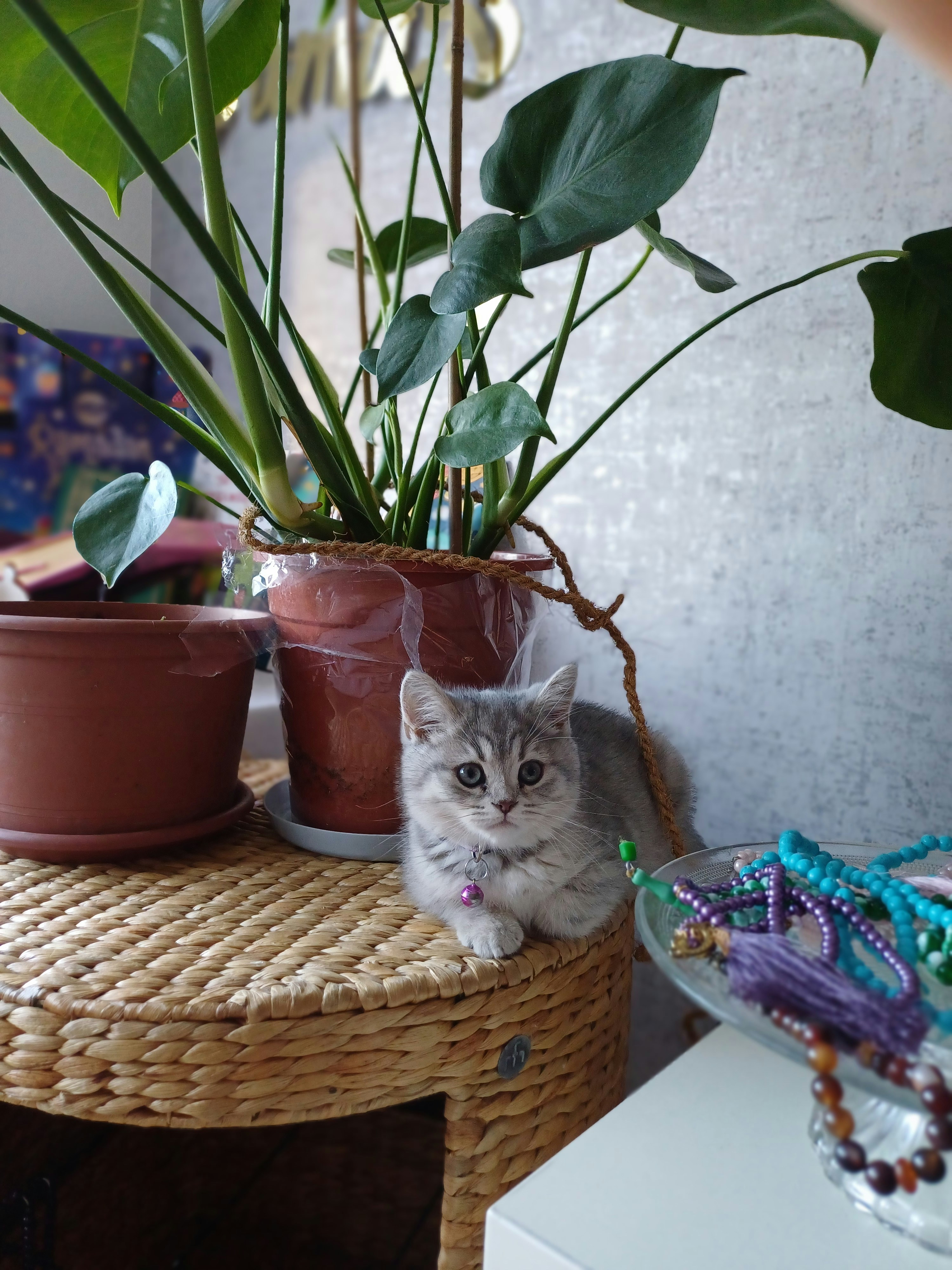 Photo by zeliha turk with Samsung Galaxy A34