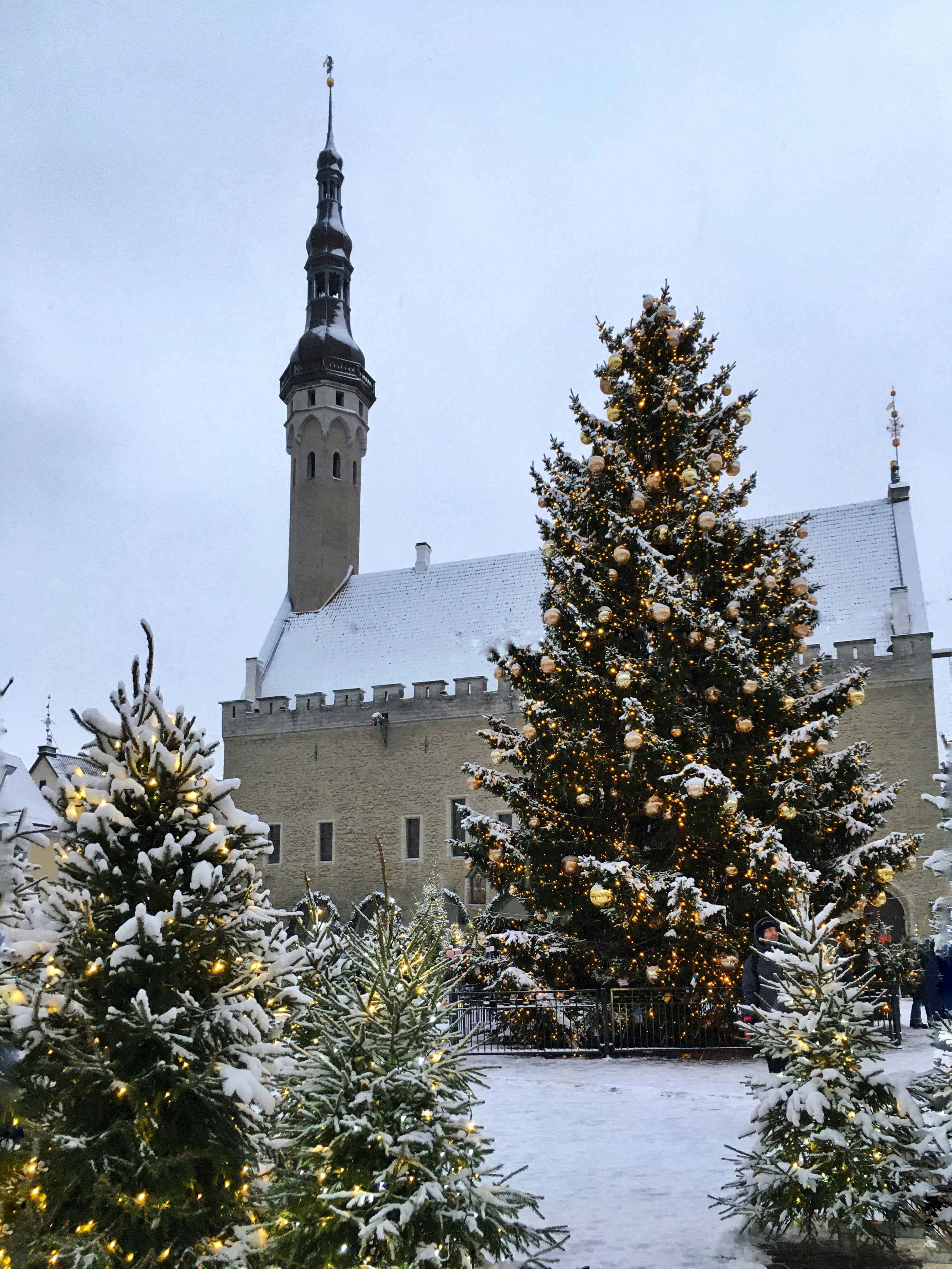 Snowy christmas trees in front of a historic building.