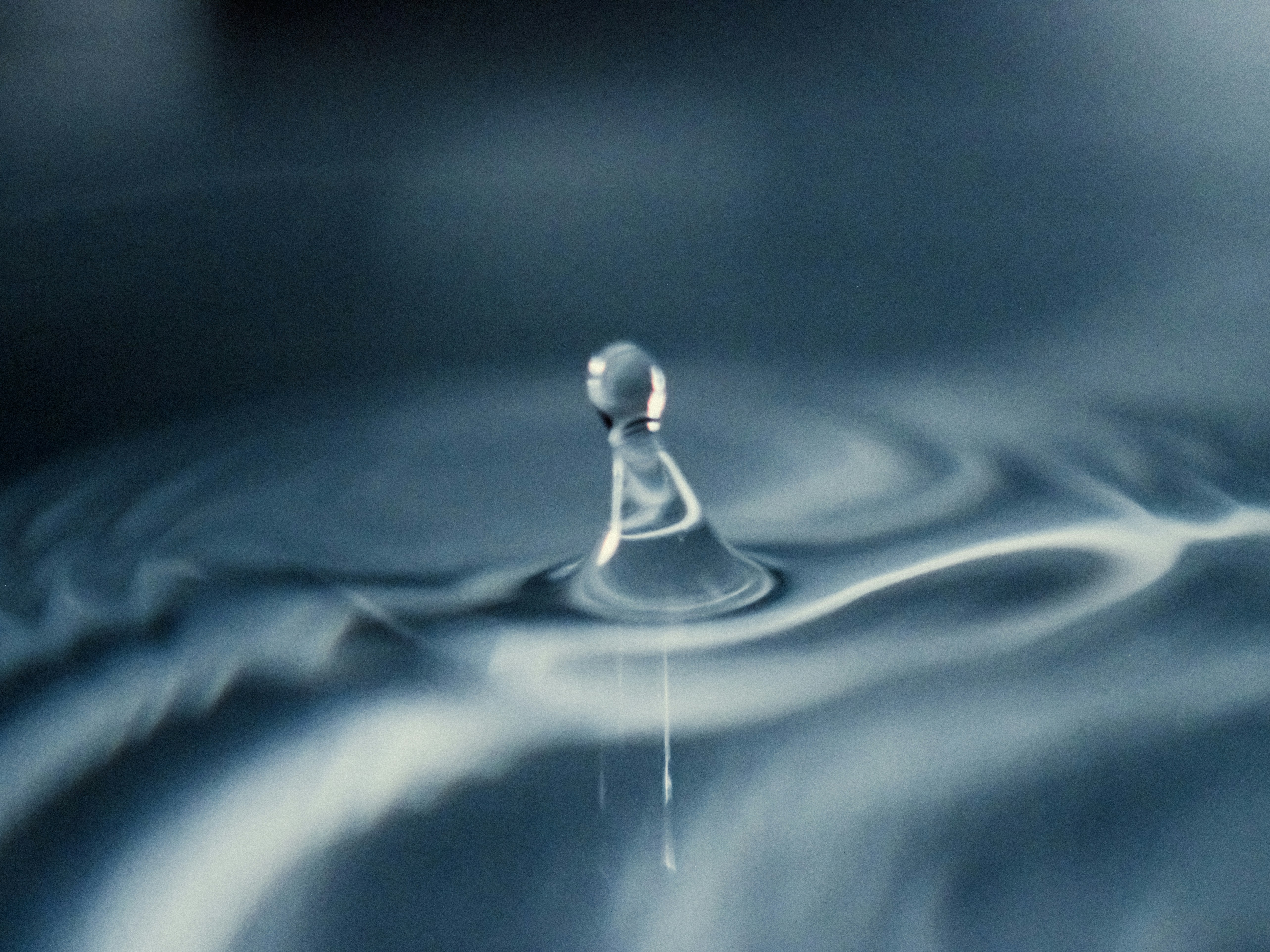 A water drop forms a beautiful ripple. photo – Free Sphere Image on ...