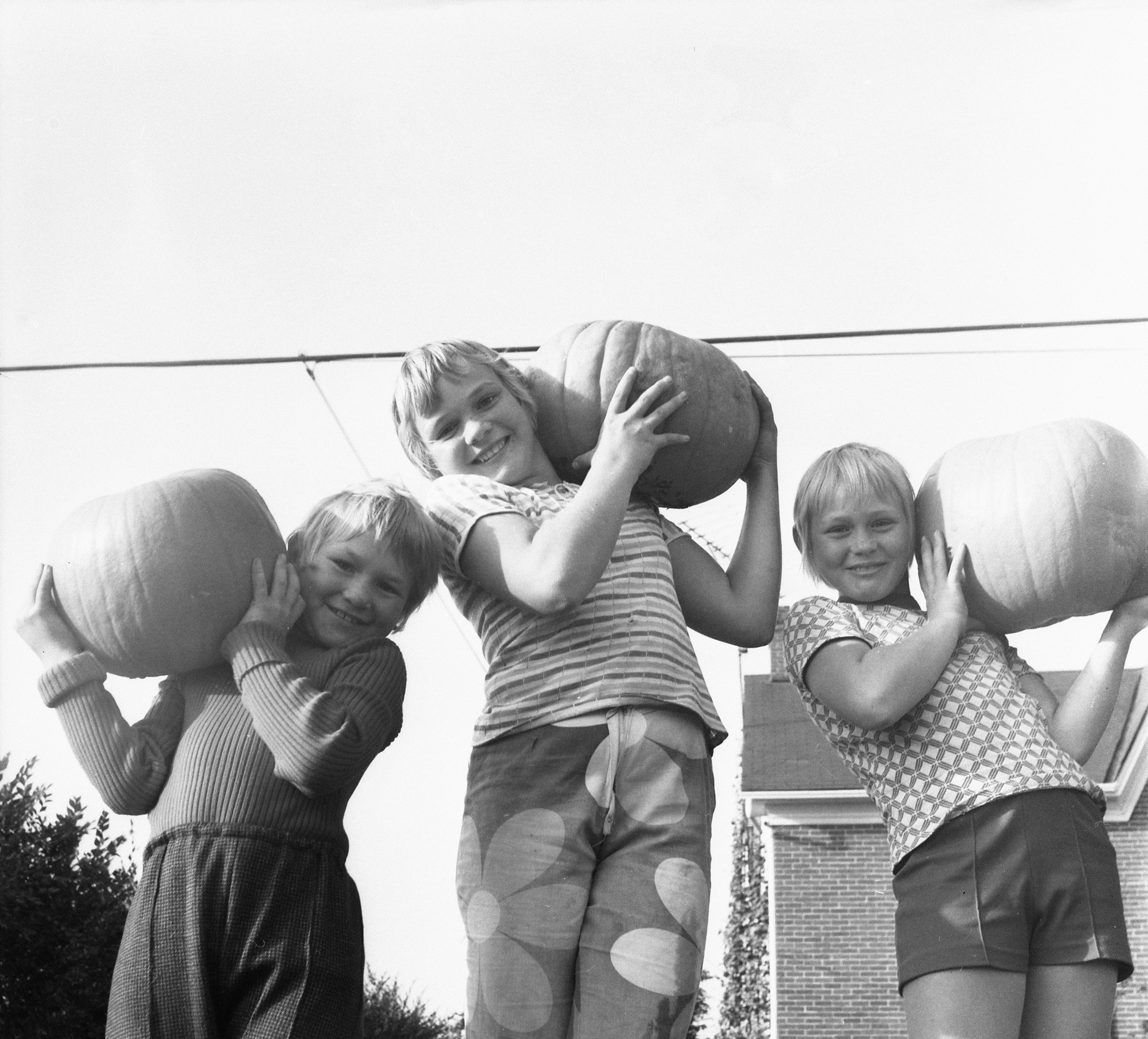 Free Food Image on Unsplash