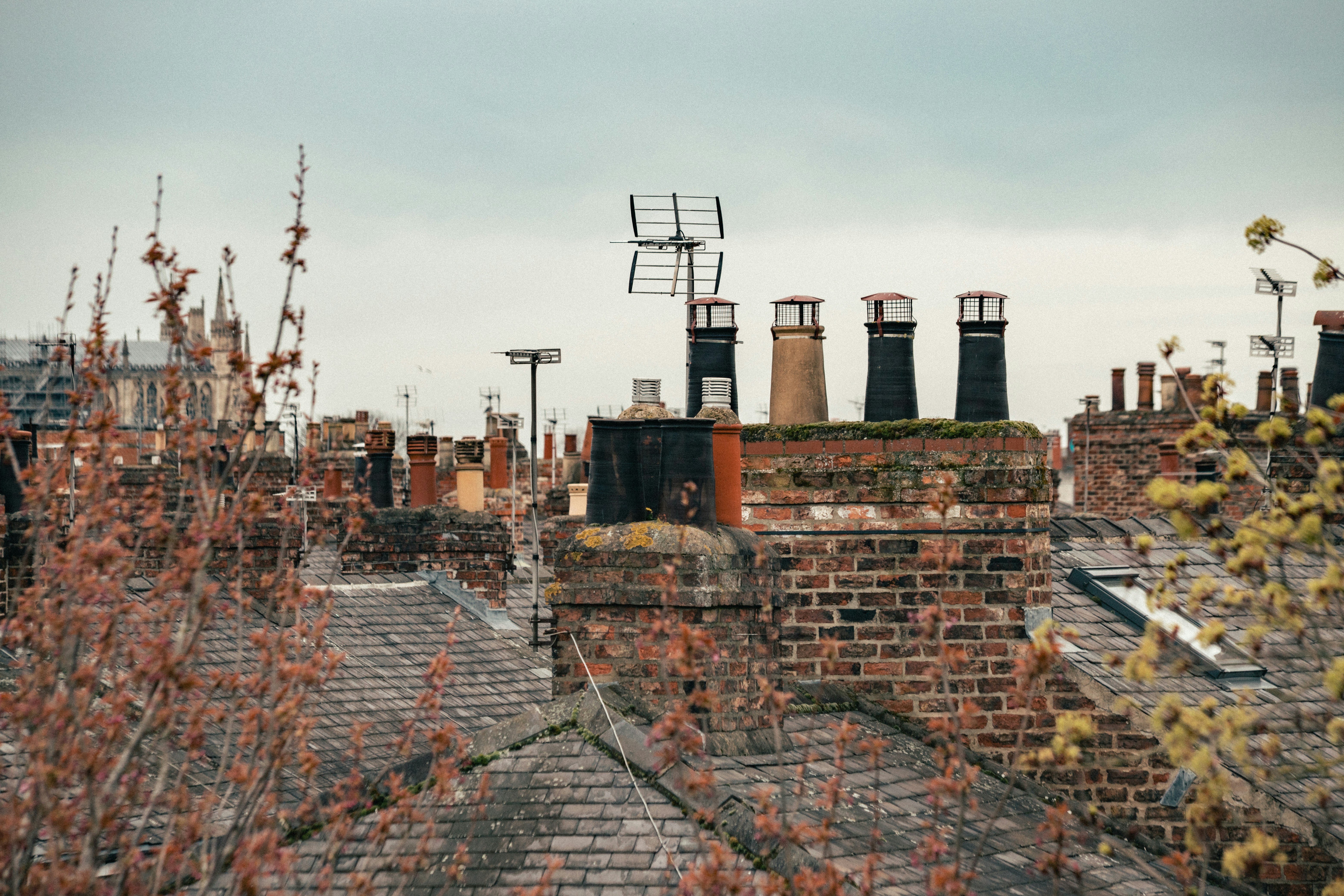 Rooftops with brick chimneys and antennas framed by leafless branches under a cloudy sky.