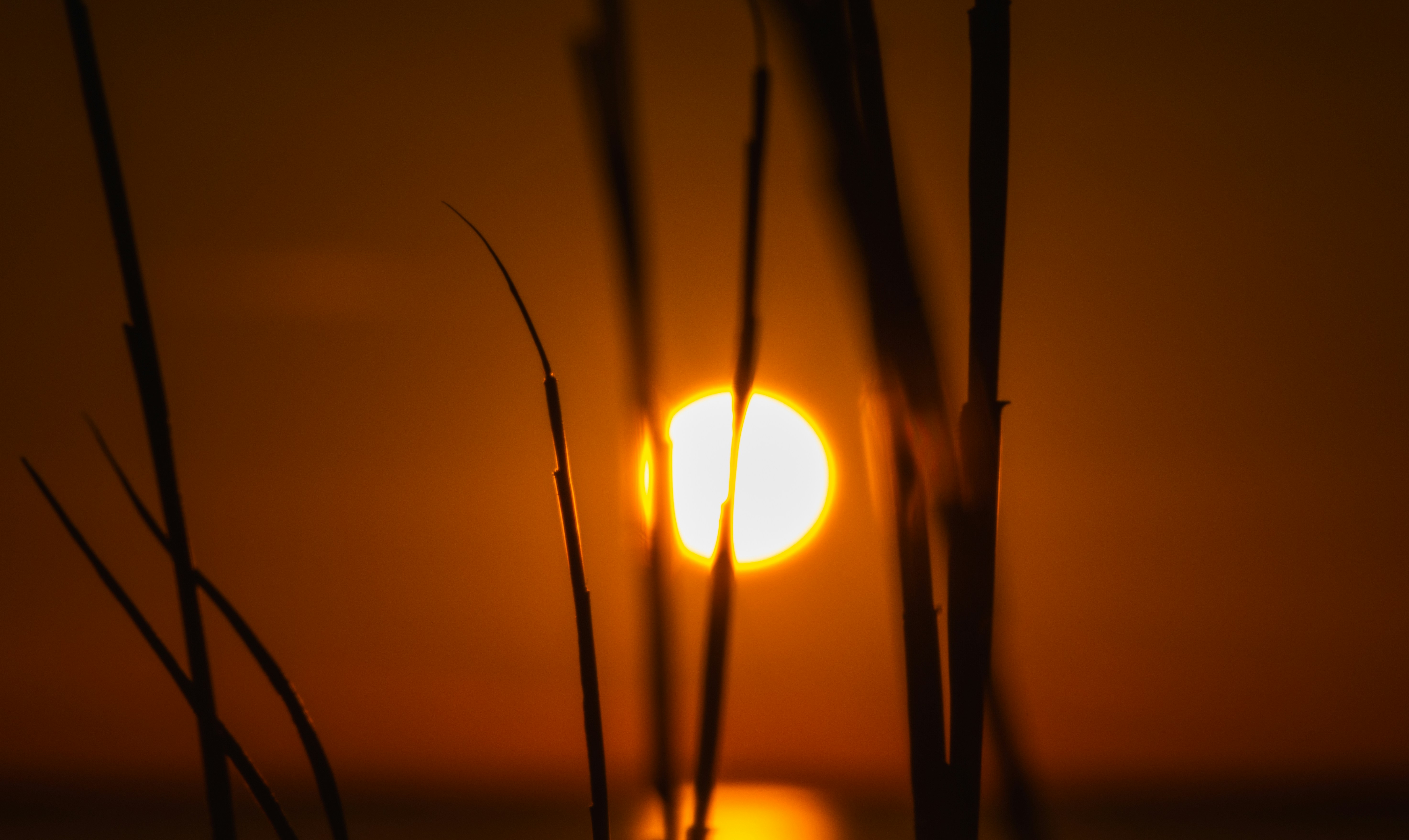 Photo by Wei Feng with Canon EOS R50