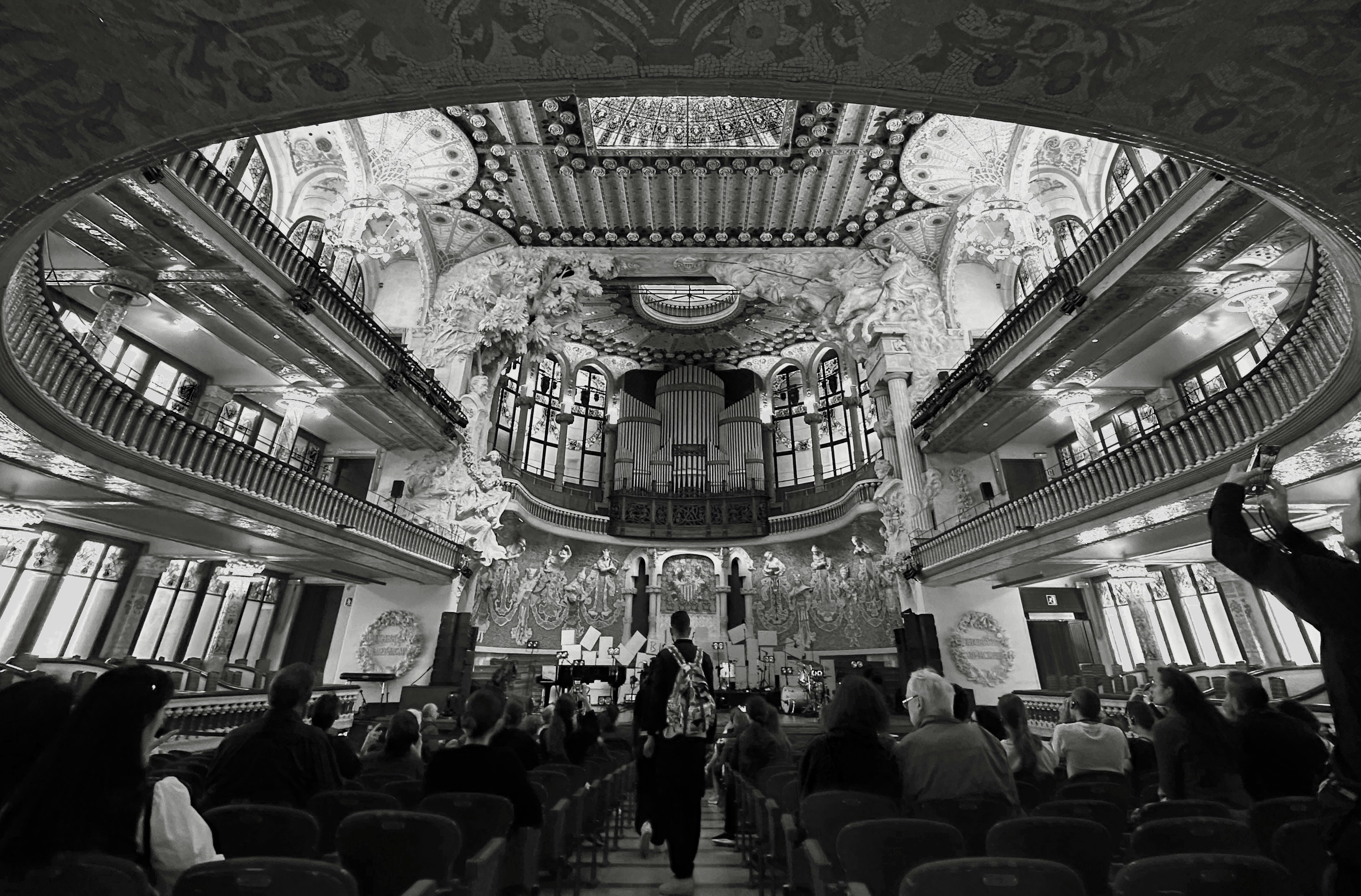 Ornate Symphony in Monochrome
