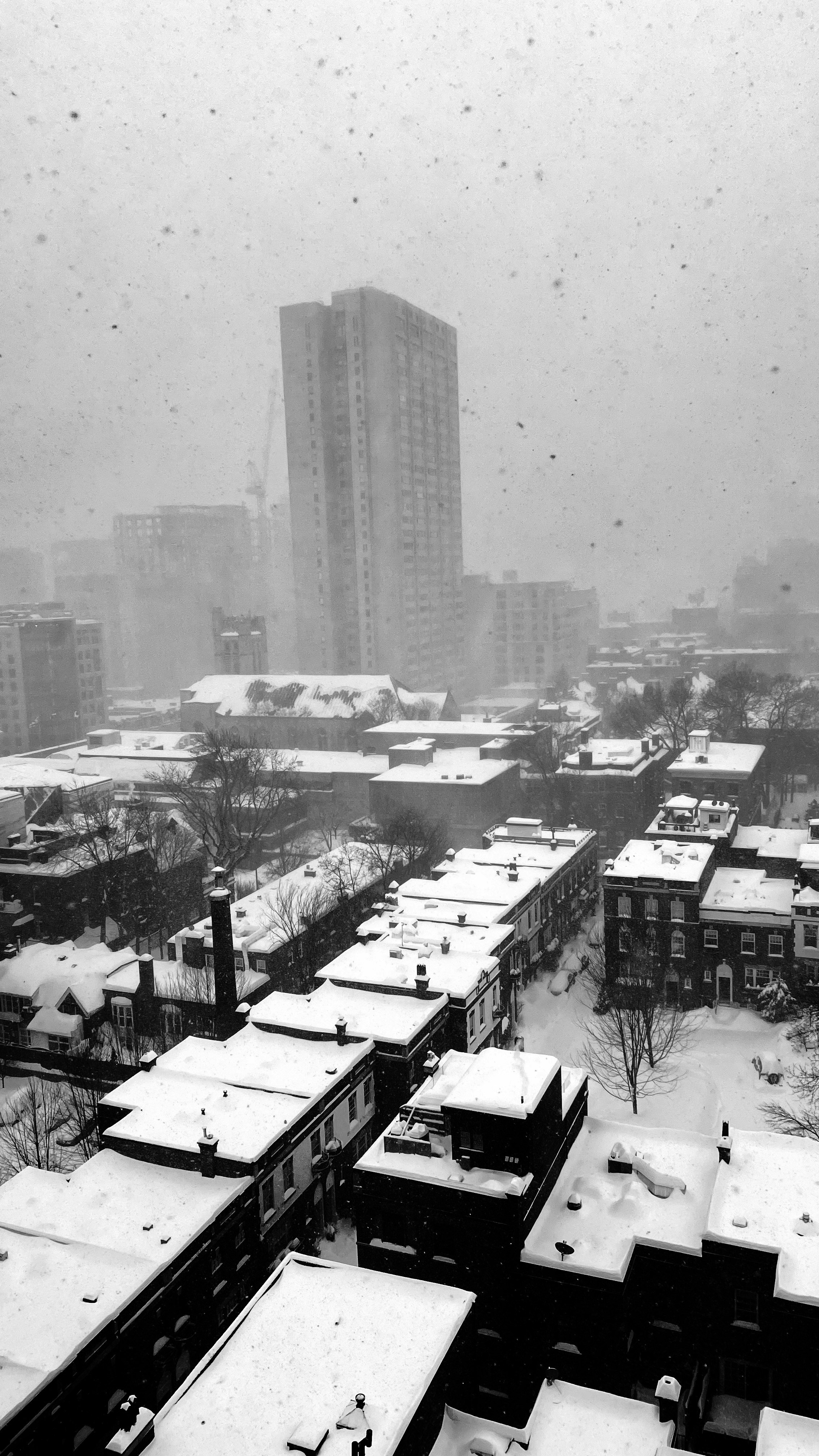 Snowy city scene with buildings covered in snow. photo – Free Wallpaper ...