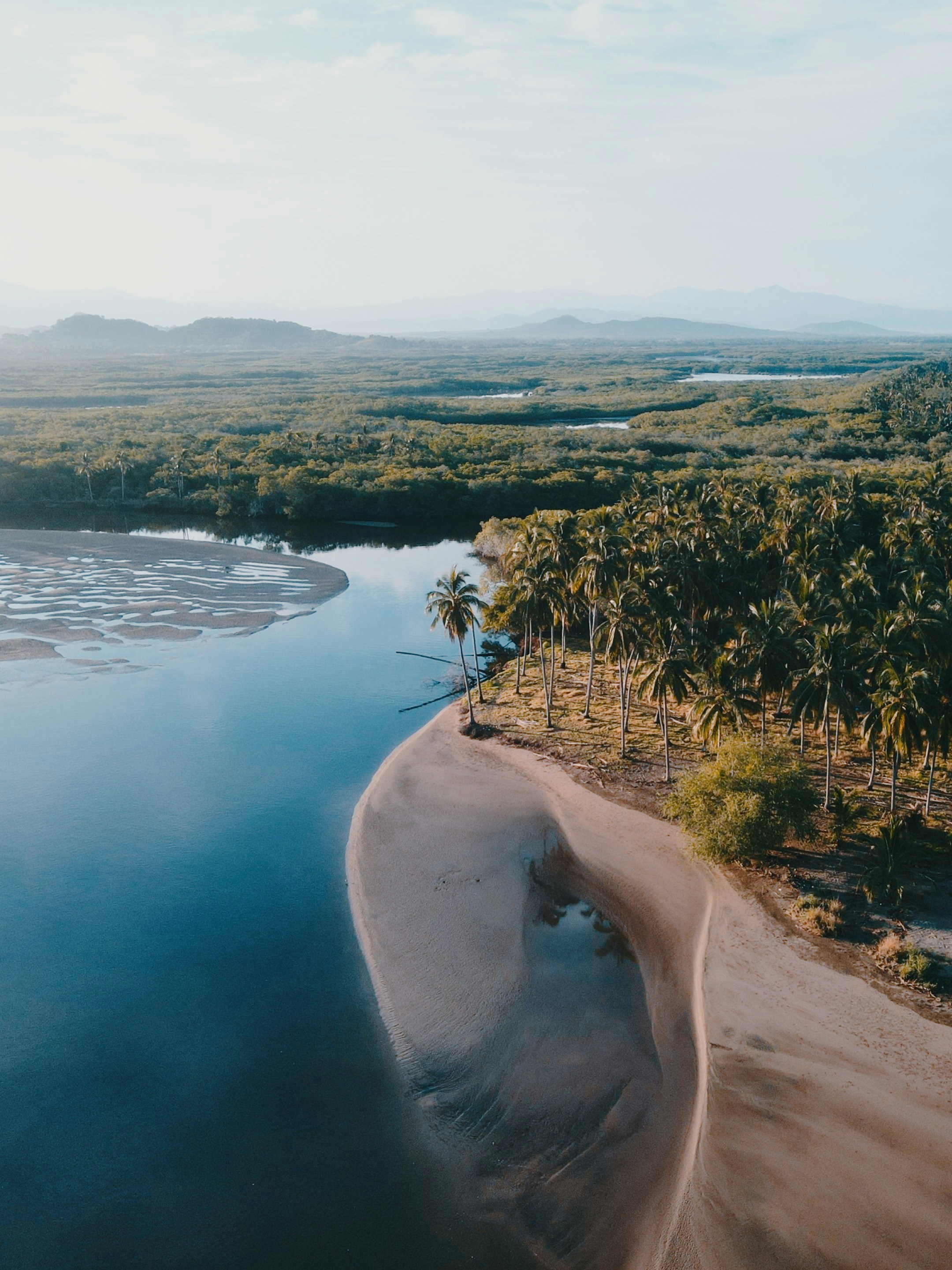 La playa y el río se encuentran con el bosque. foto – Imagen de Bosque ...