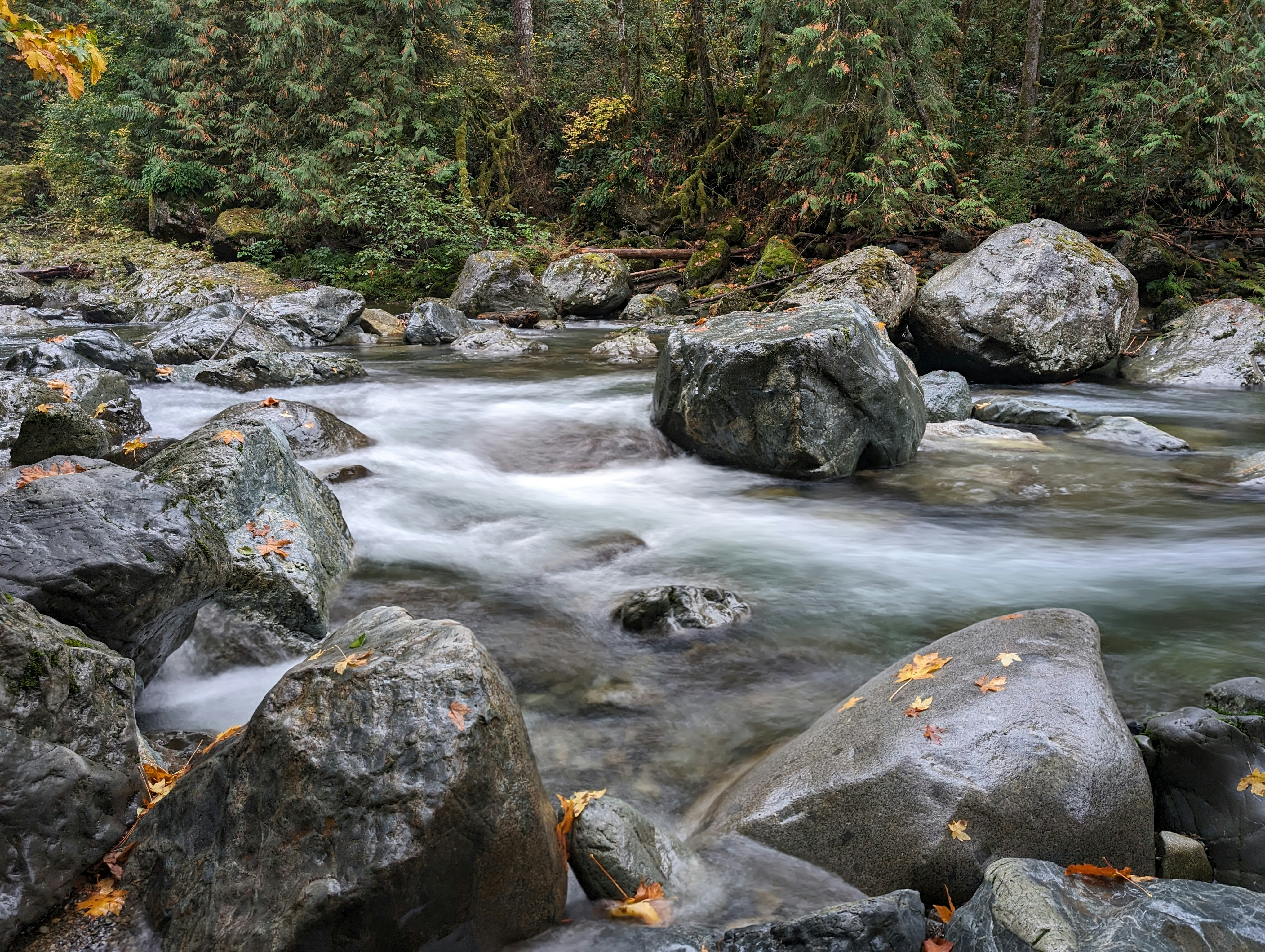 A rushing river flows through a rocky landscape. photo – Free Forest ...