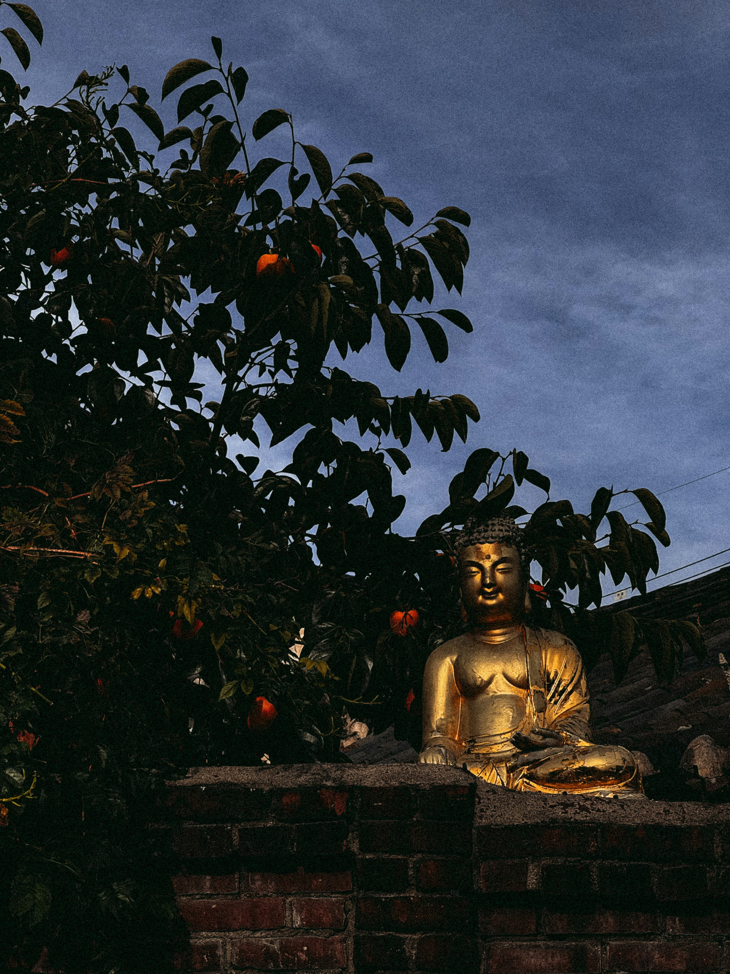 Photo by Yumi Kim with Apple iPhone 15 Pro