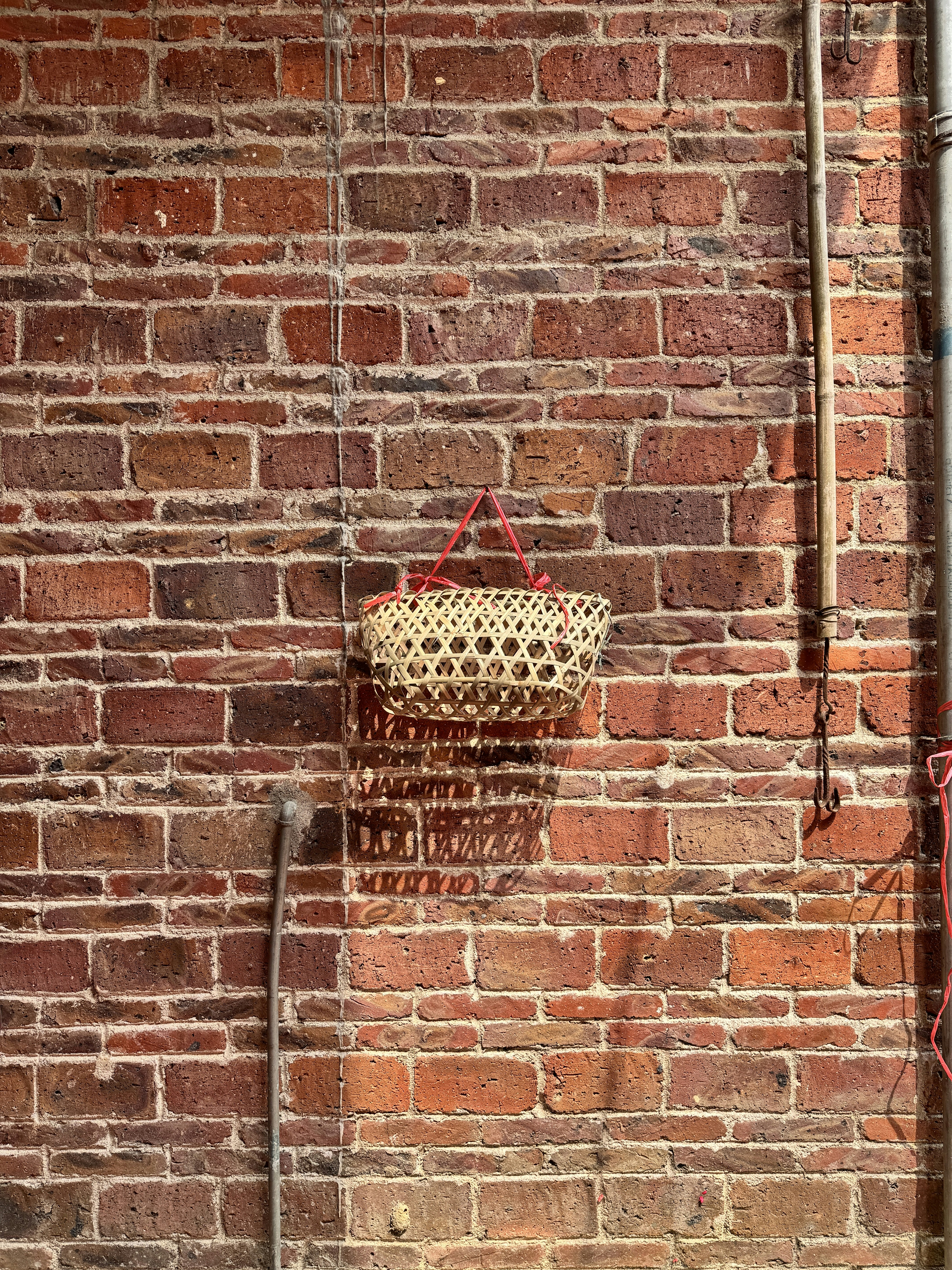 Shadowed Weave: A Hanging Basket on Weathered Brick