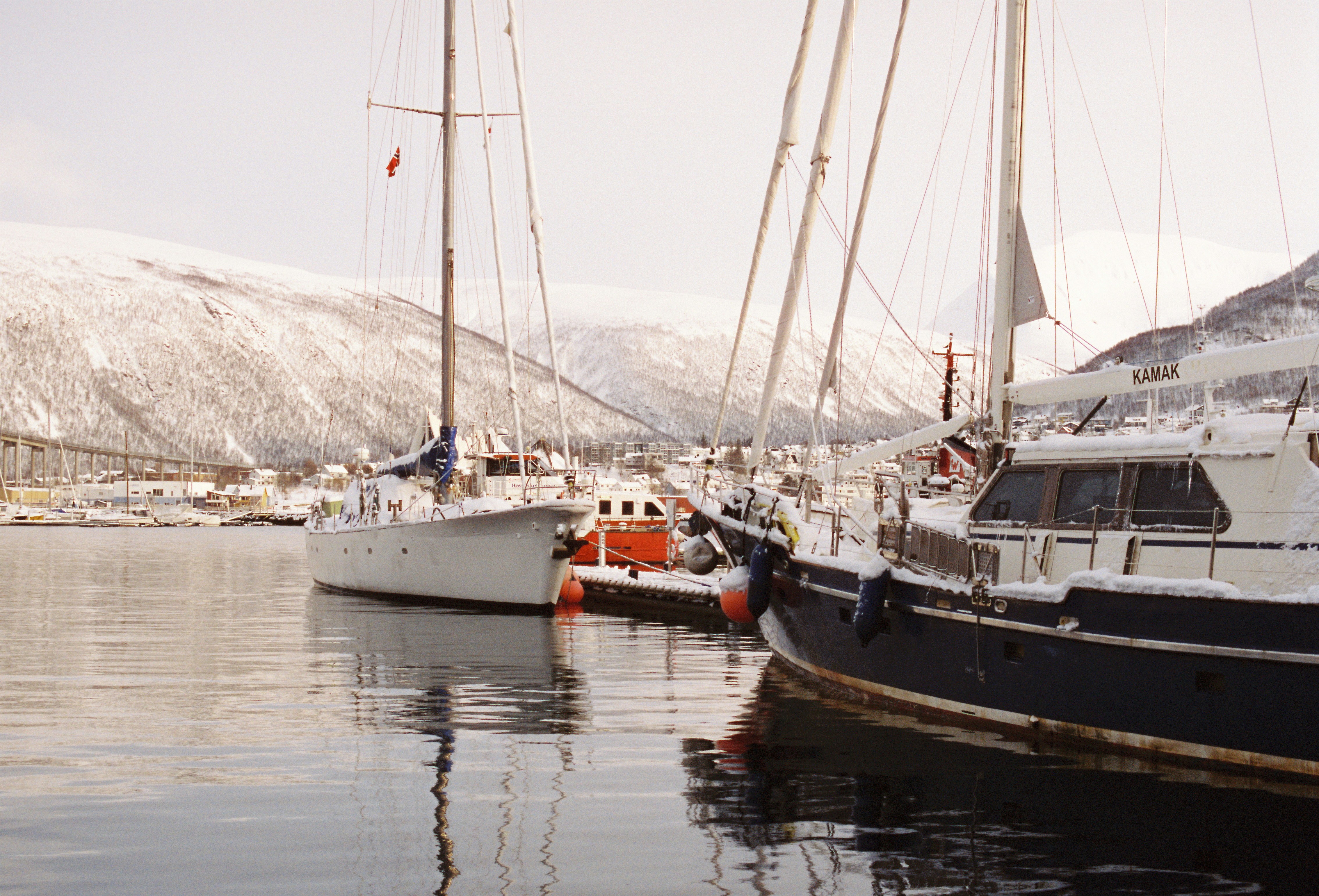 Sailboats docked in a snowy harbor. photo – Free Wallpaper Image on ...