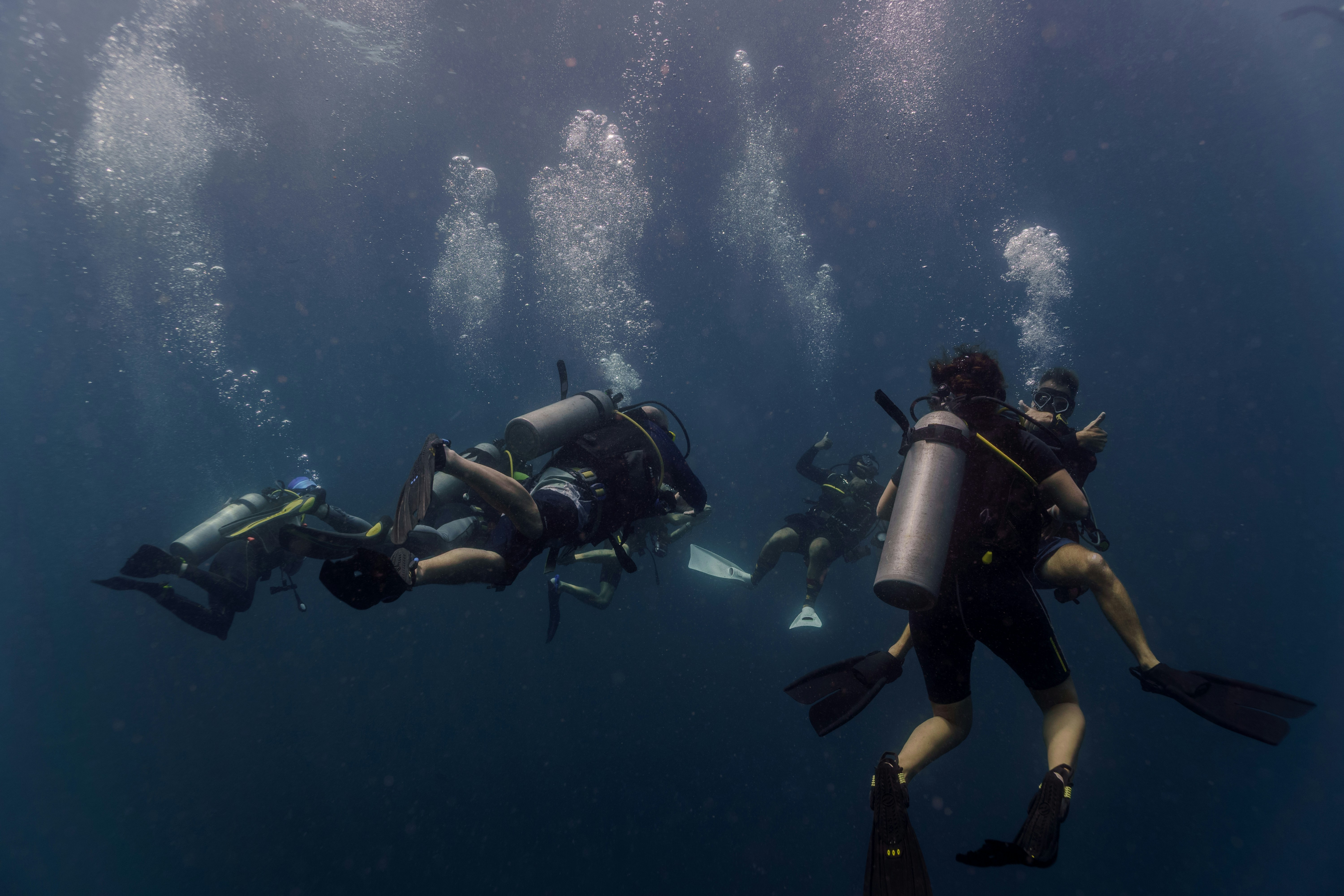 Divers are swimming underwater together. photo – Free Man Image on Unsplash