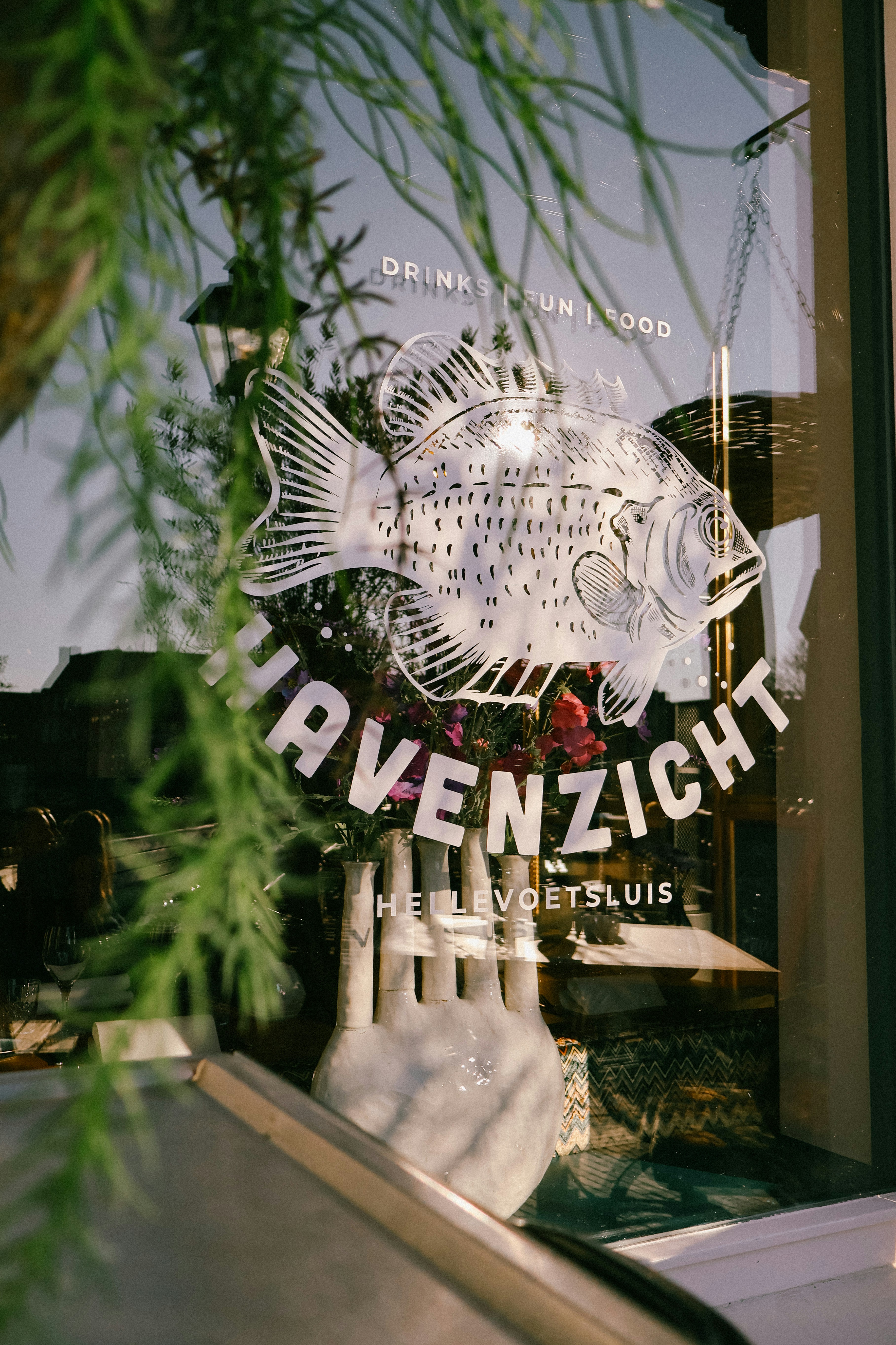 The Fish Sign Echoing Through Glass and Greenery