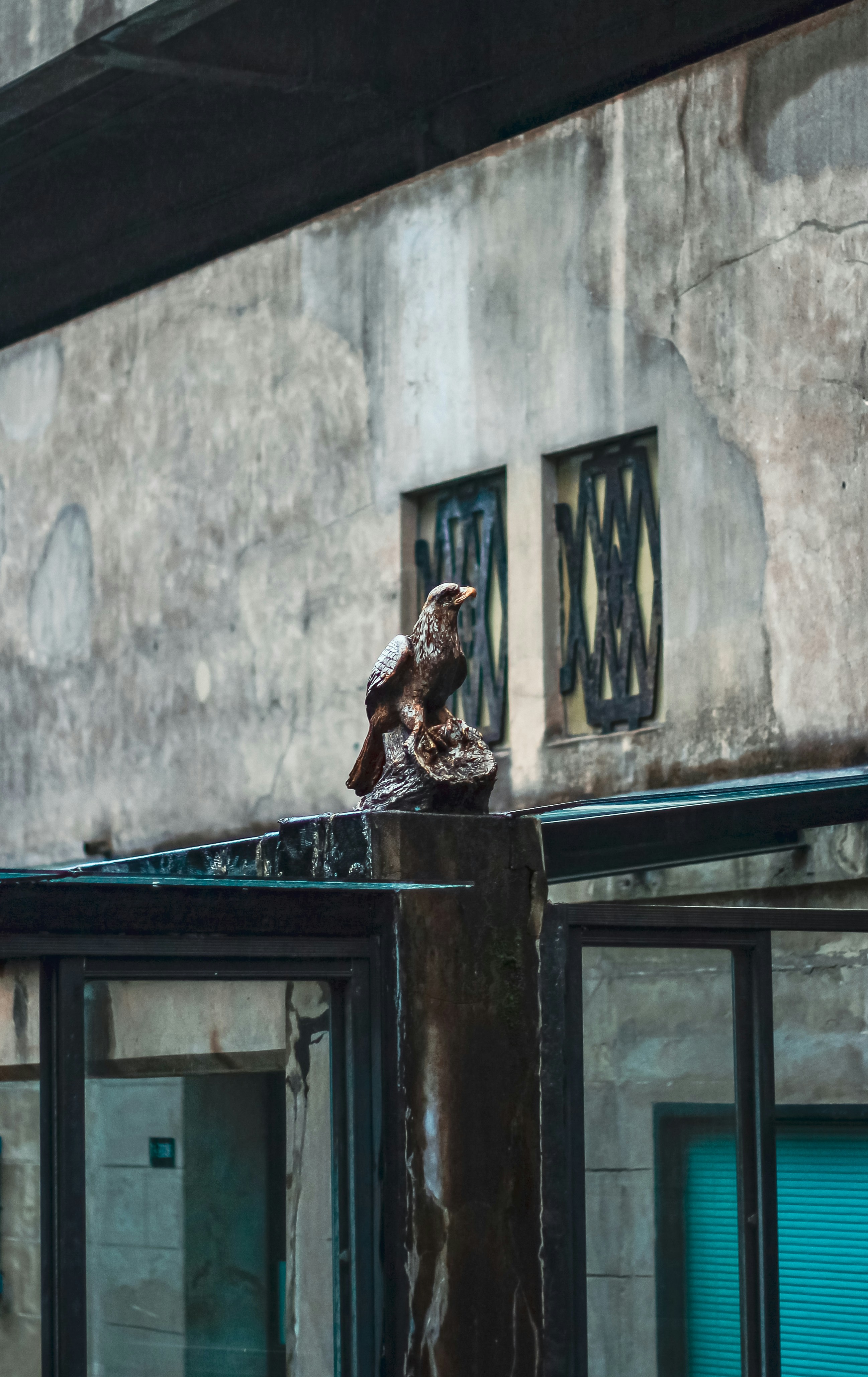 Sentinel Bird on a Weathered Post Over a Glass-Canopied Entrance