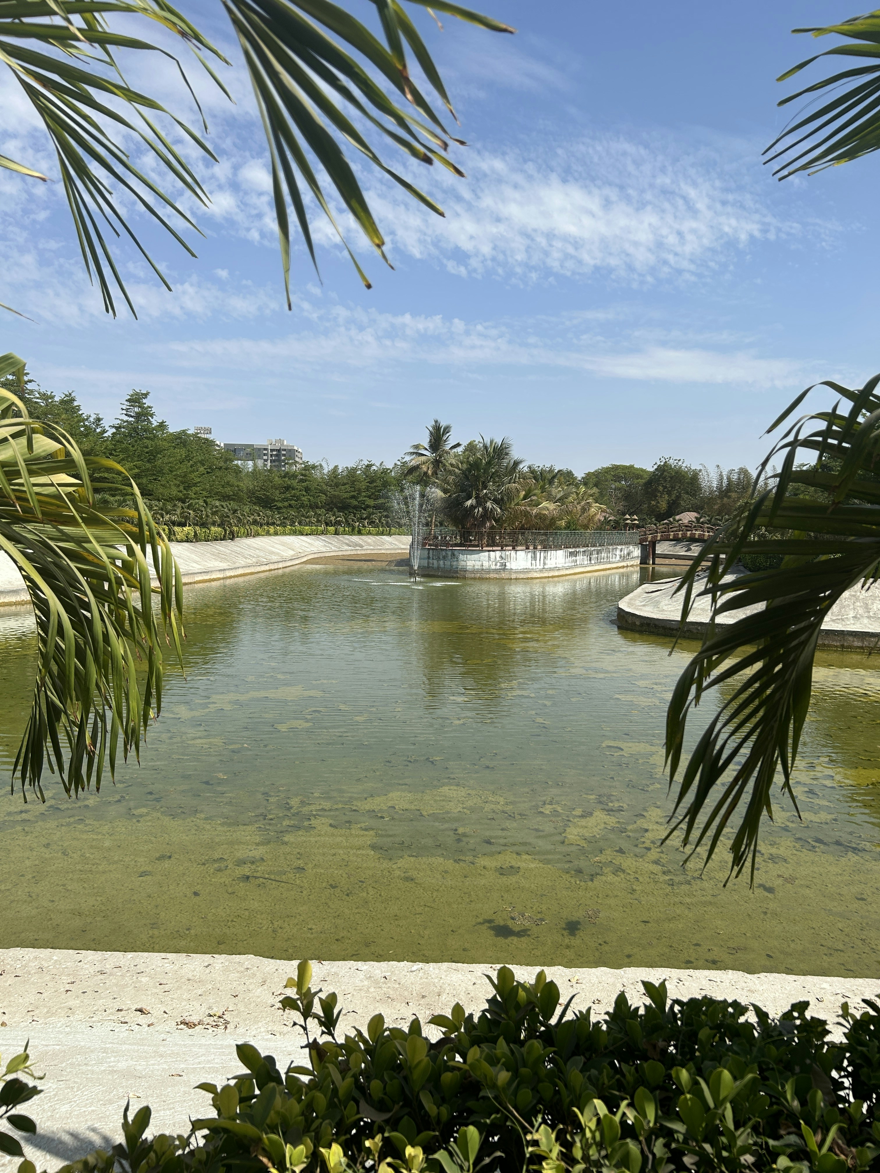 A tranquil pond surrounded by vibrant foliage and palm trees, with a small bridge leading to an island of palms. The clear blue sky adds to the serene atmosphere.