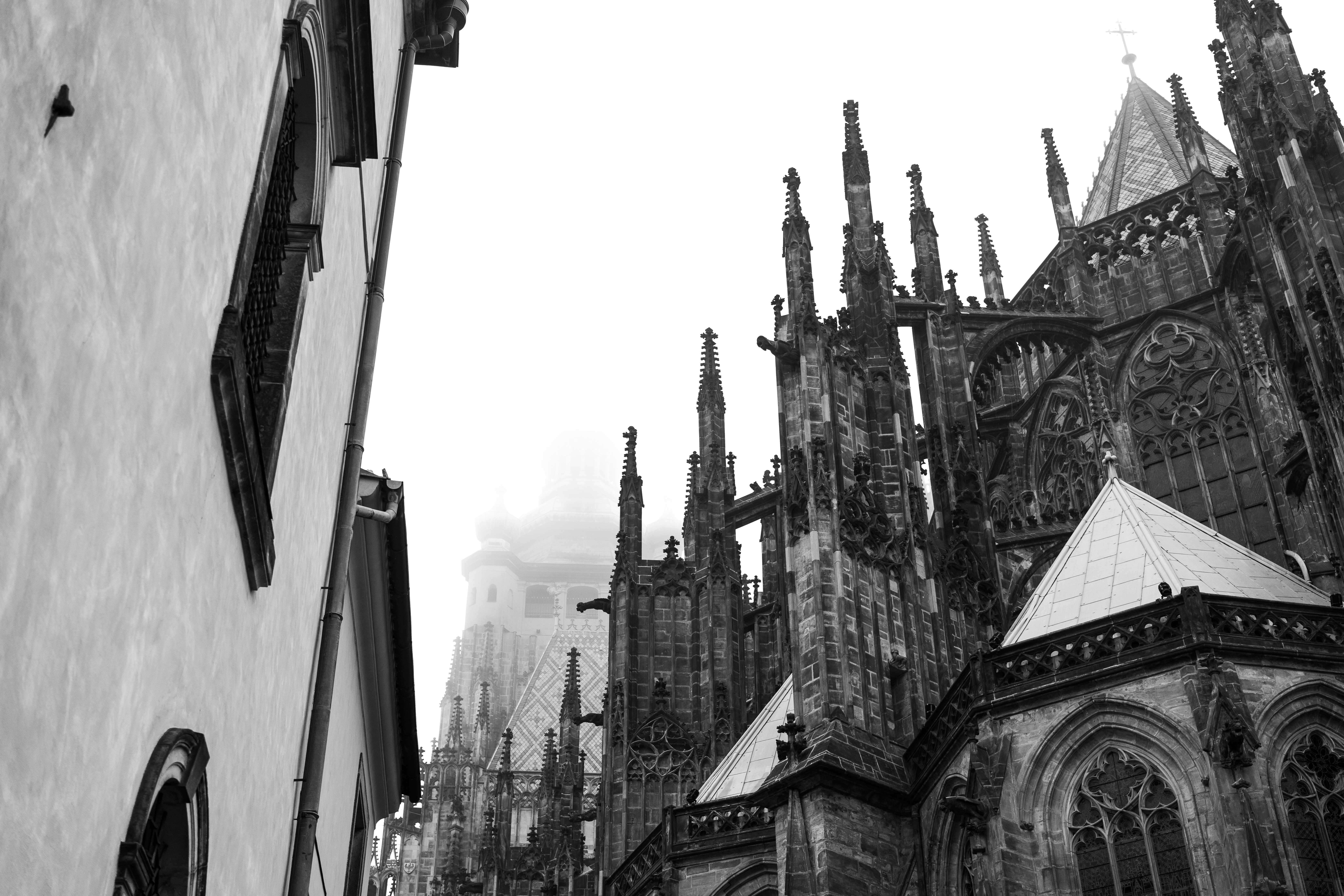 Gothic architecture of an ornate church is shown. photo – Free Building ...
