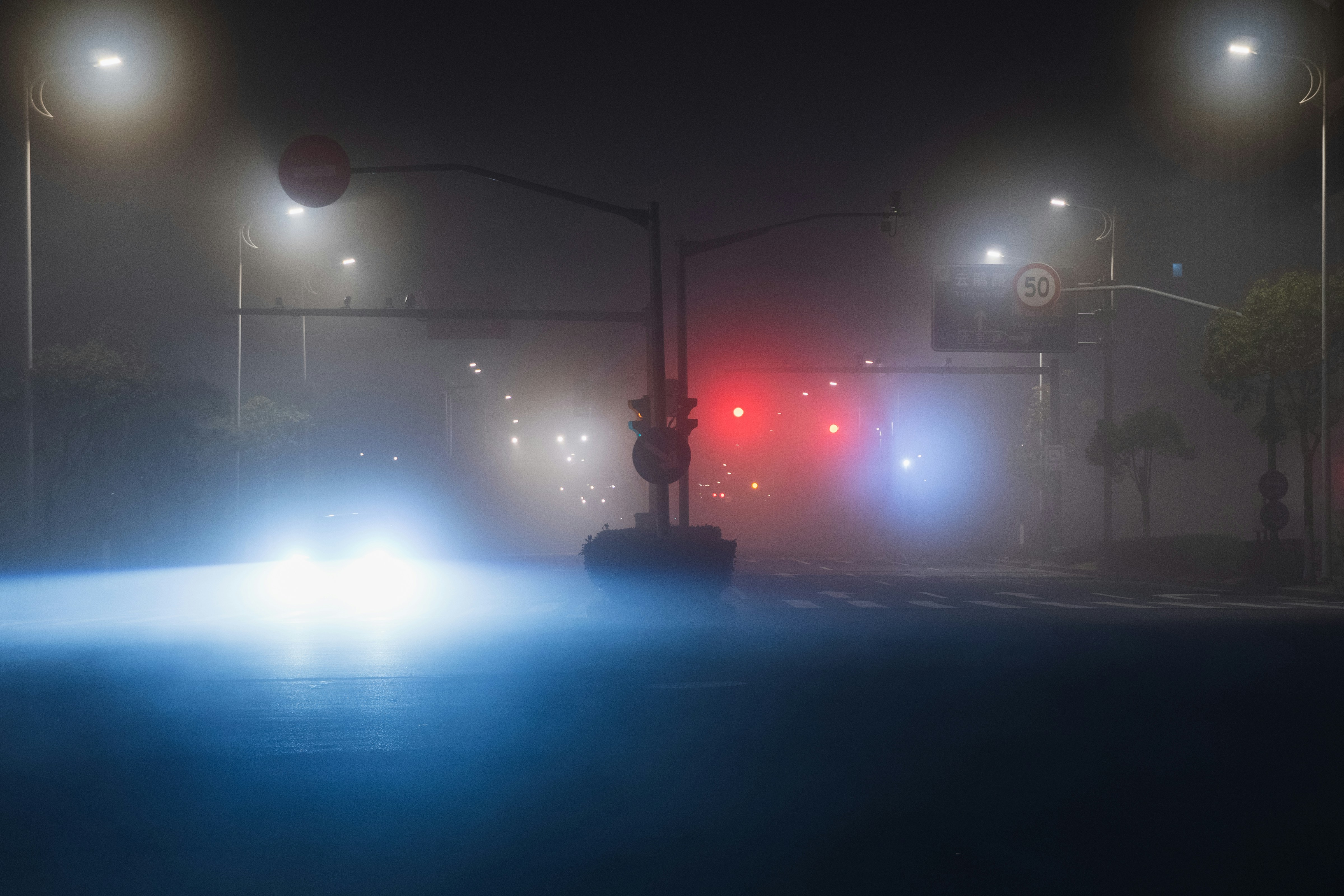 Veil of Fog: A Journey Through the Unknown