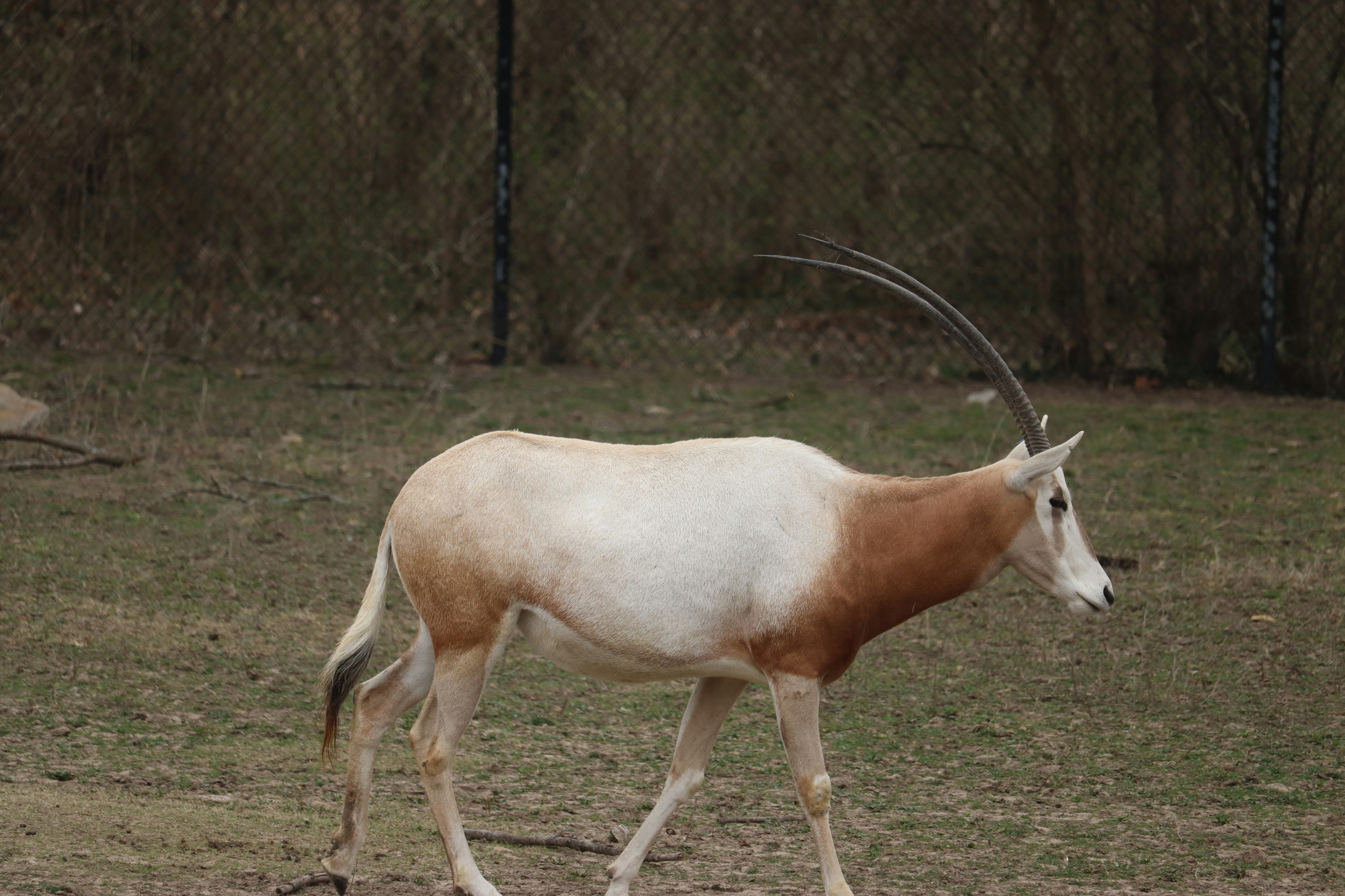 Photo by utsav siwakoti with Canon EOS 250D