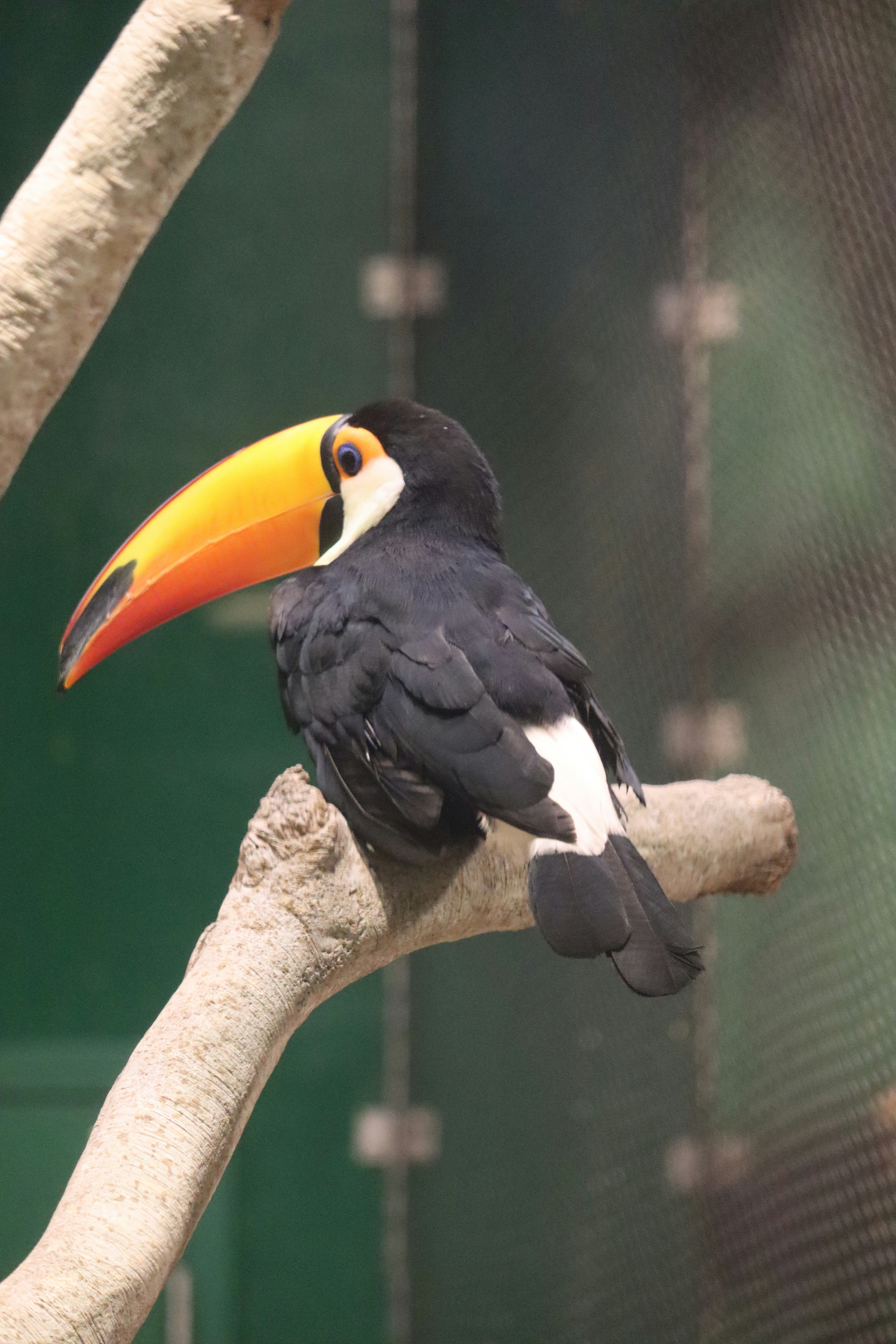 Photo by utsav siwakoti with Canon EOS 250D