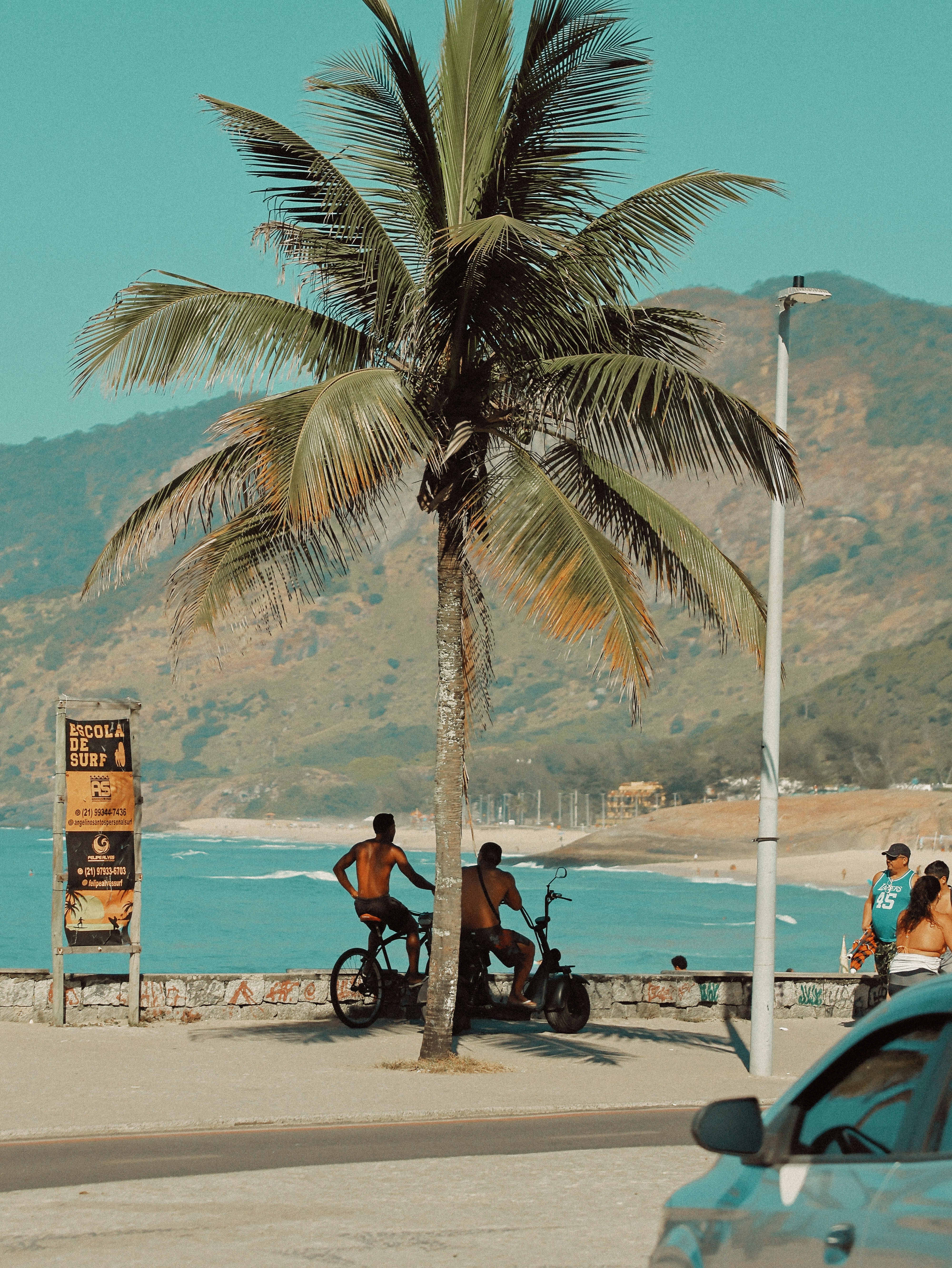 Palm tree anchors a sunlit coastal promenade where two shirtless cyclists rest near the sea, with a car in the foreground.