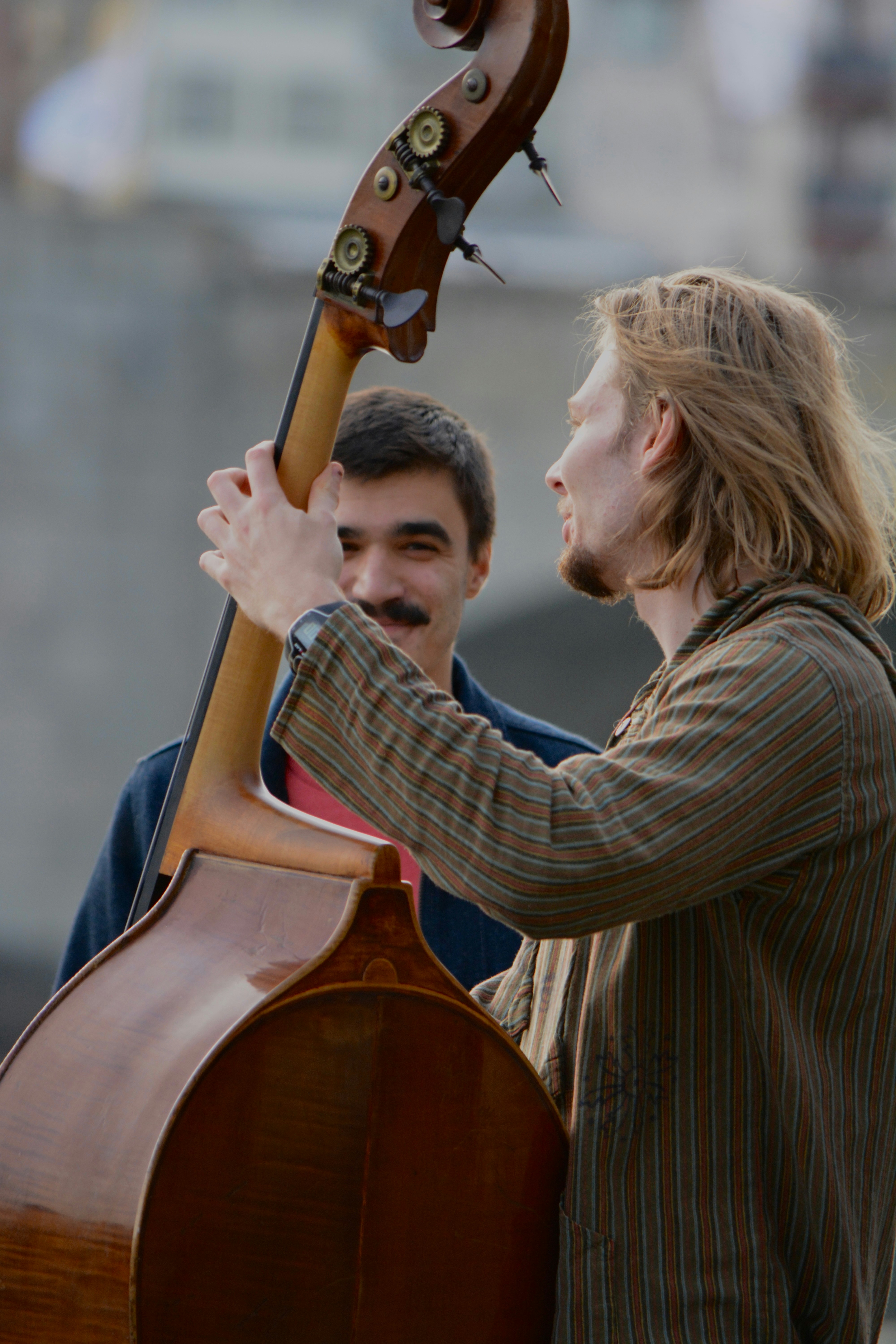 Melodies in Motion: A Bassist's Serenade