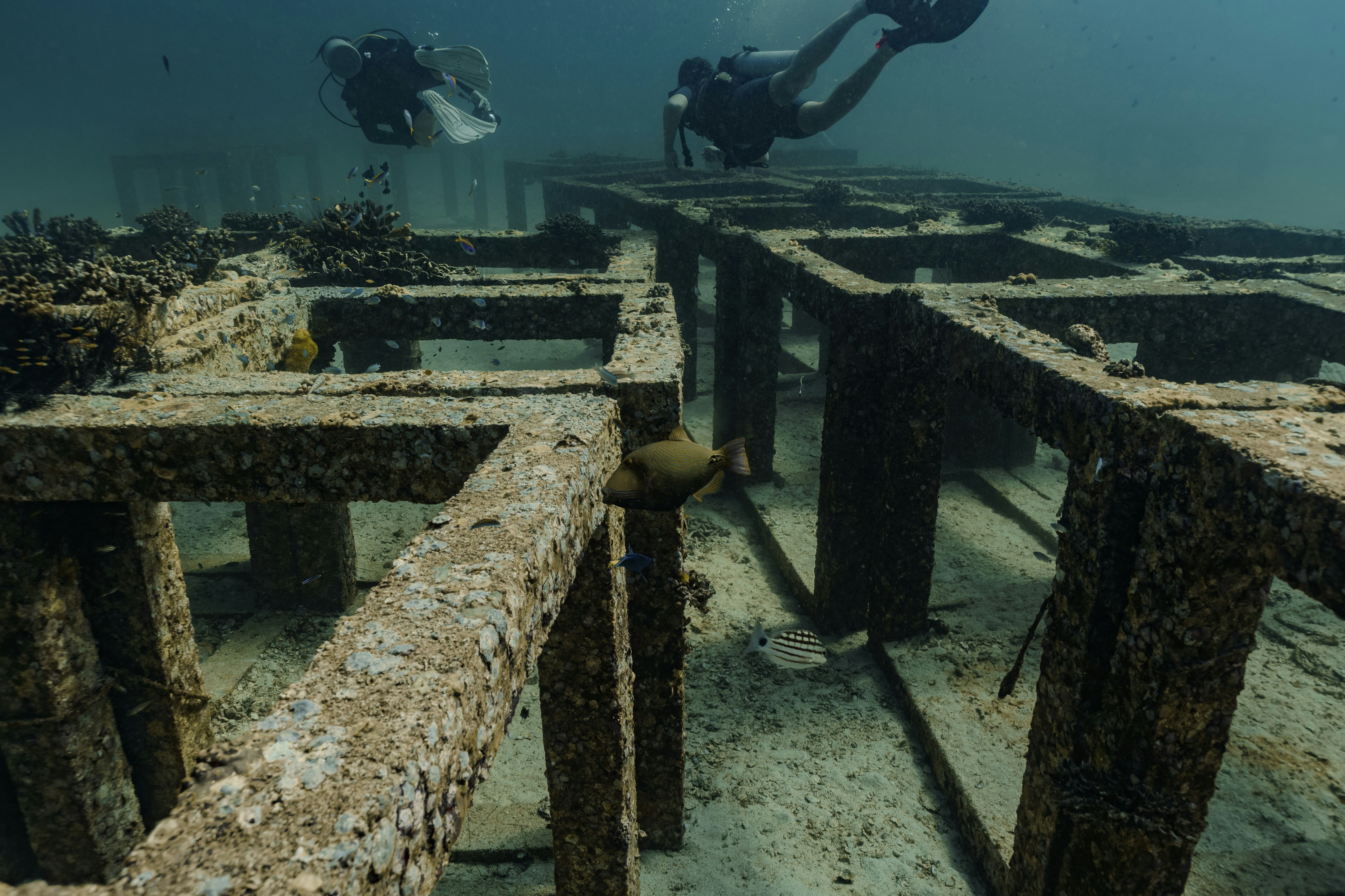 Divers explore a submerged concrete structure underwater. photo – Free ...