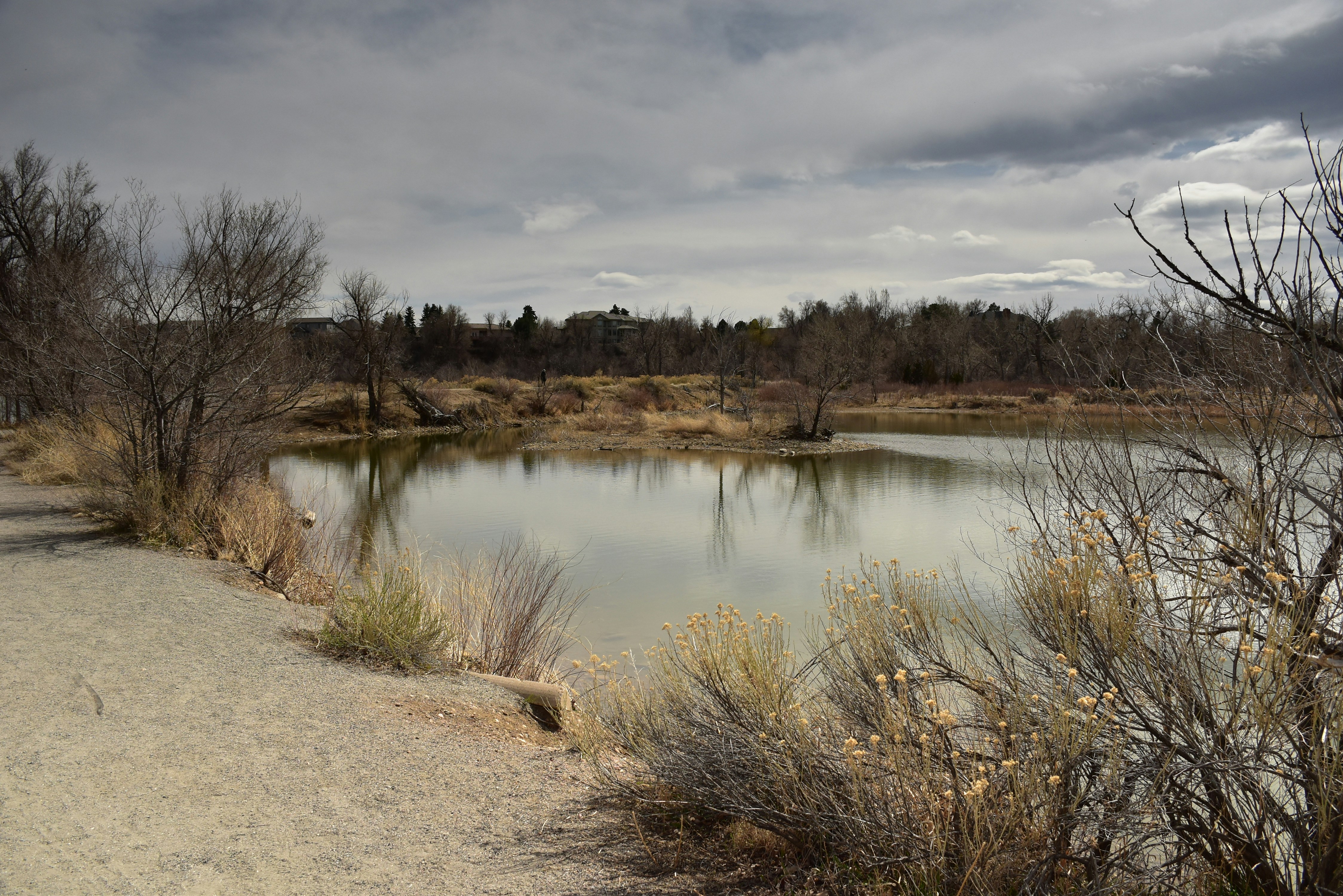 Serene lakeside scene with bare trees and a cloudy sky reflected in calm water.