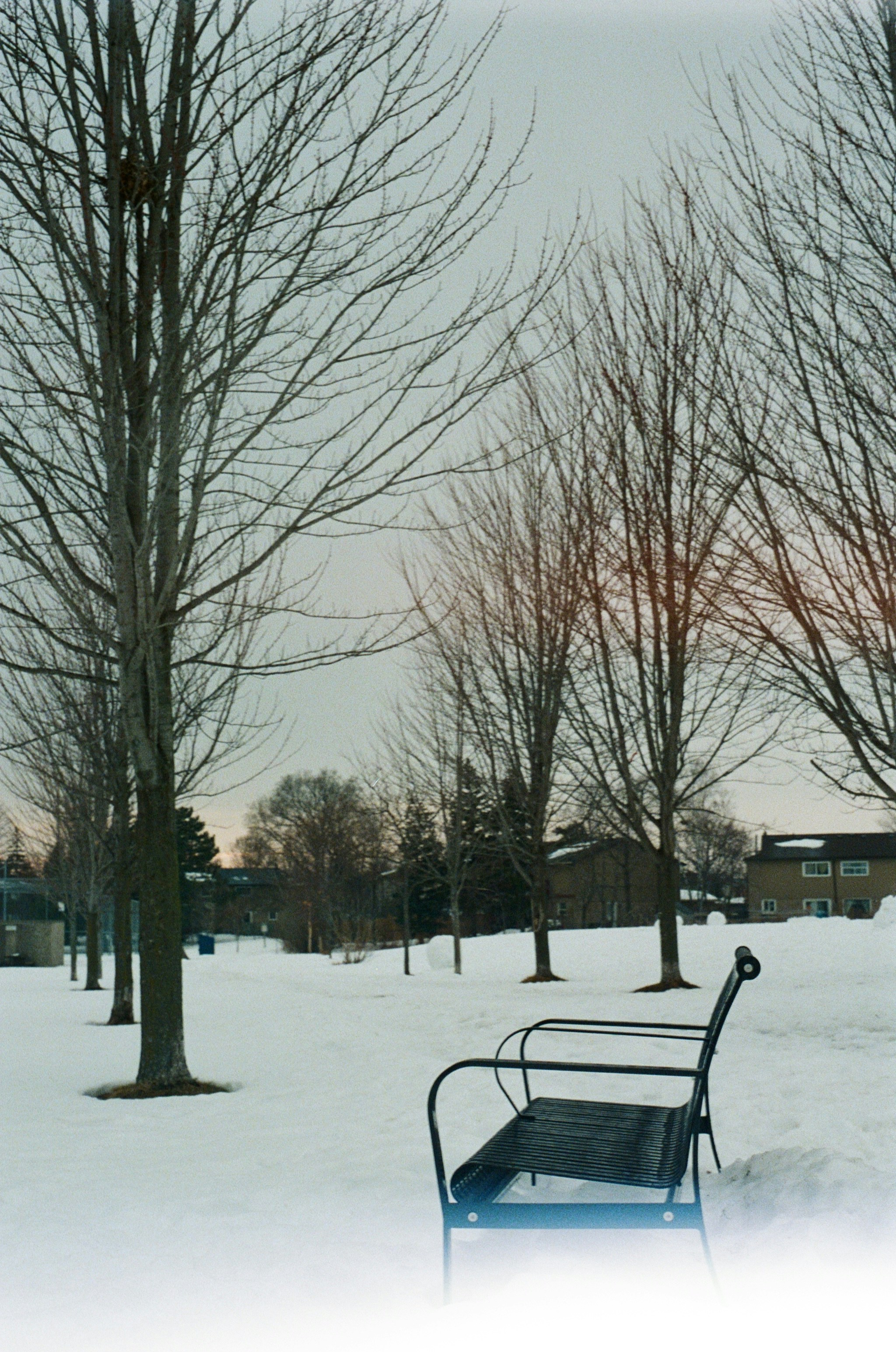 A snowy park bench sits in a winter scene. photo – Free Winter Image on ...