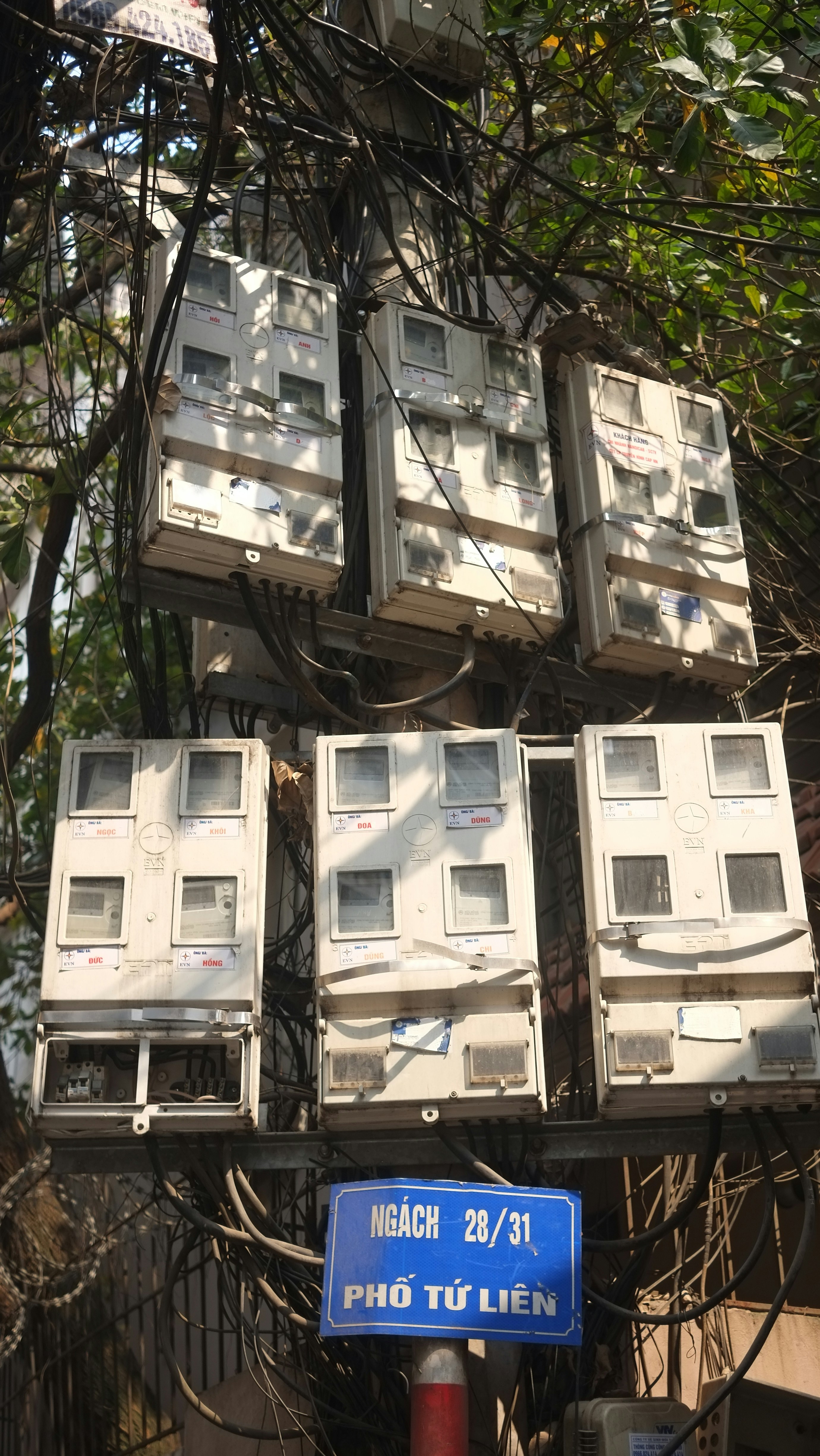 Cables, Meters, and Foliage: A Quiet Portrait of Urban Infrastructure