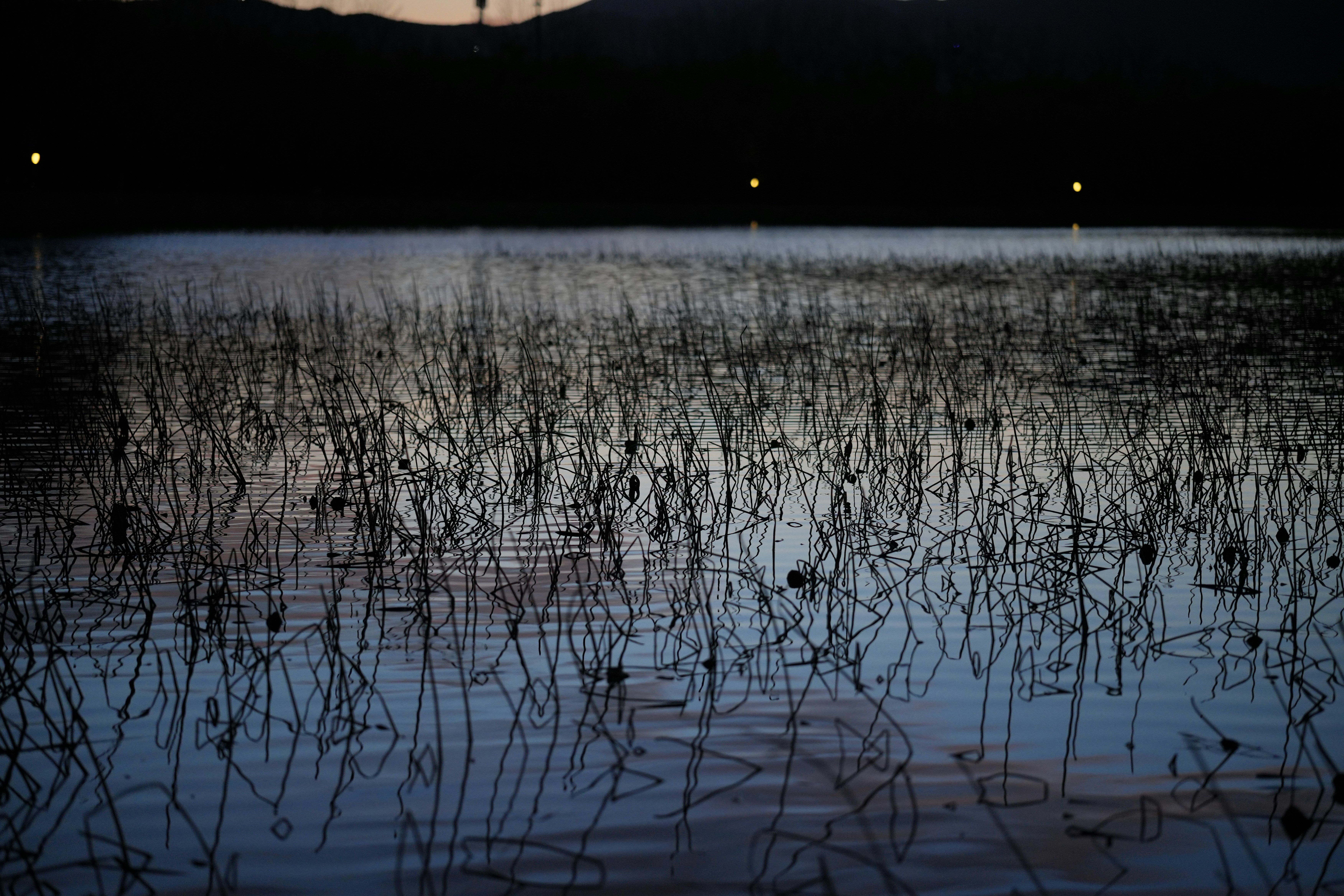 Sparse reeds emerge from a tranquil lake under the fading light of dusk.
