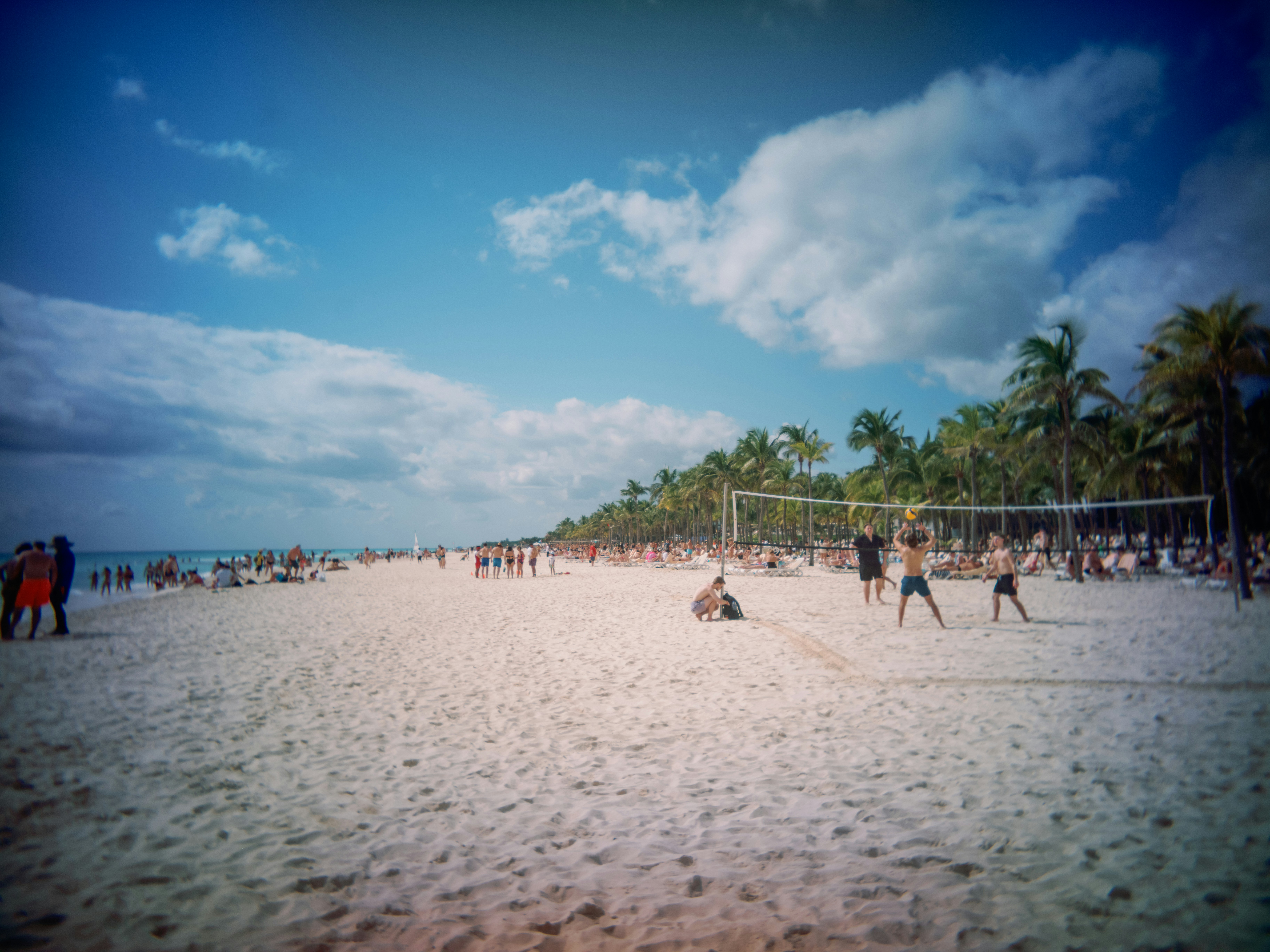Sunlit Beach Volleyball Showdown