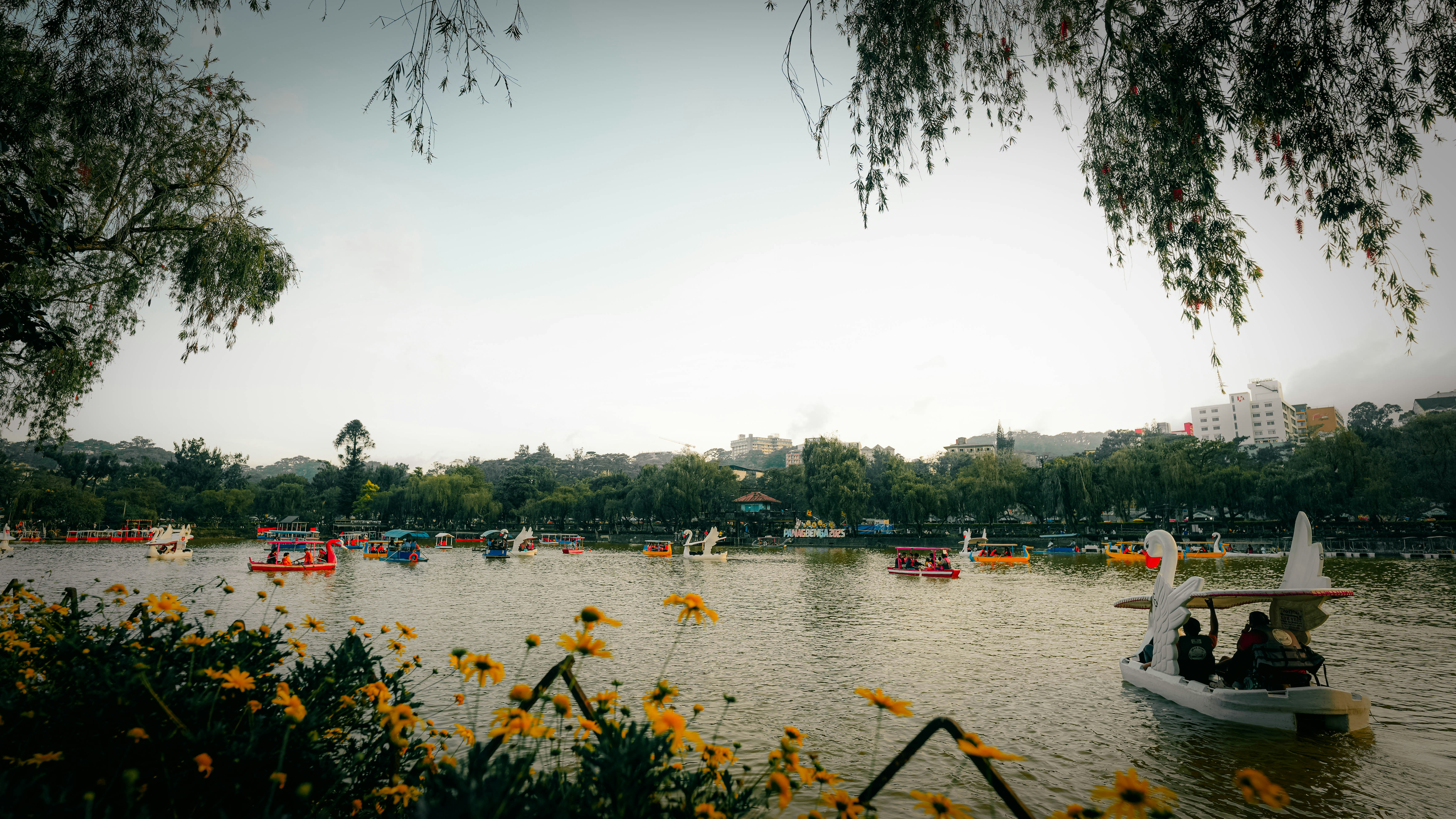 Serenity on the Lake's Edge