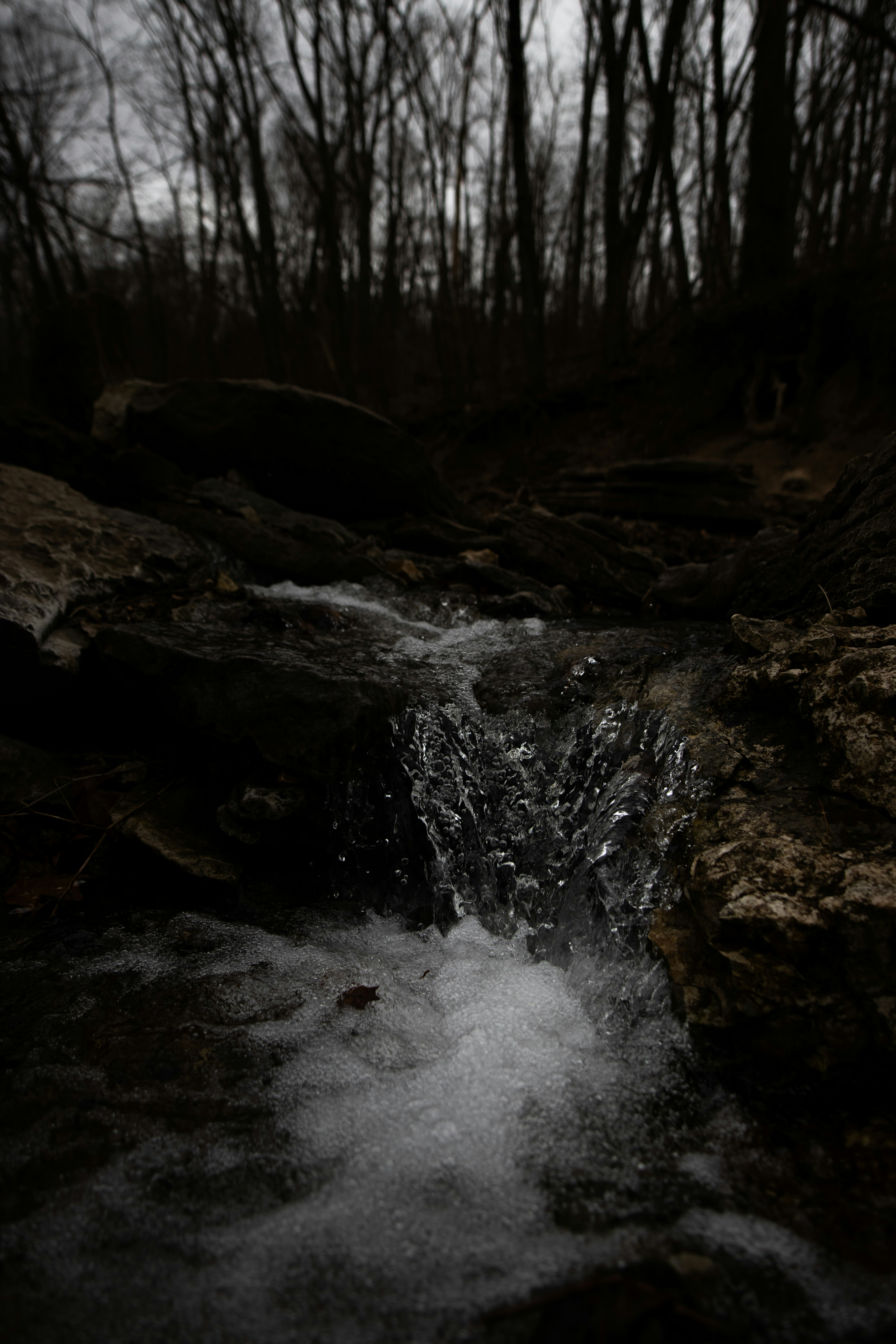 Clear water cascading over rocks, surrounded by dark, leafless trees in a moody forest setting.