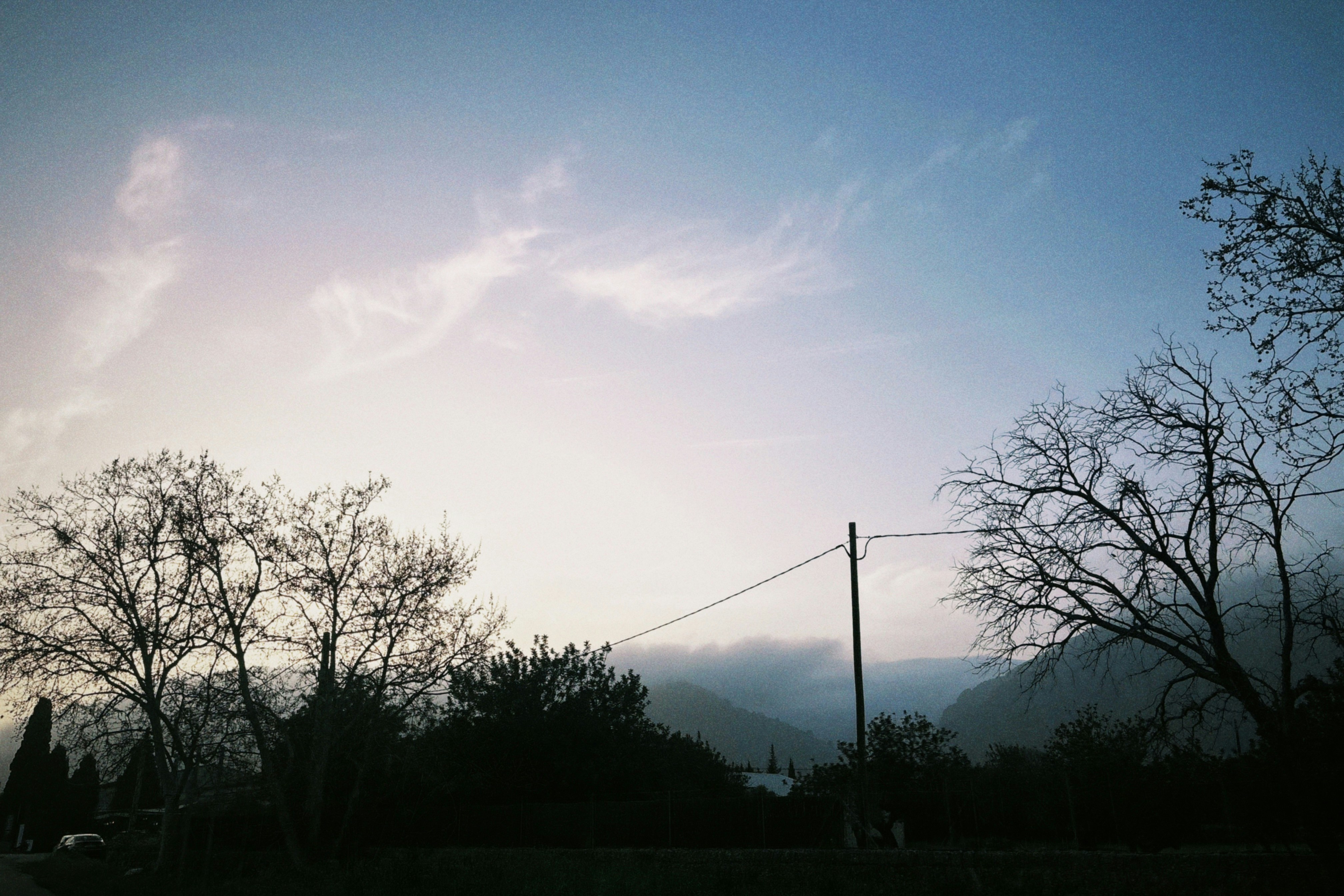 A serene view of trees and a cloudy sky. photo – Free Car Image on Unsplash