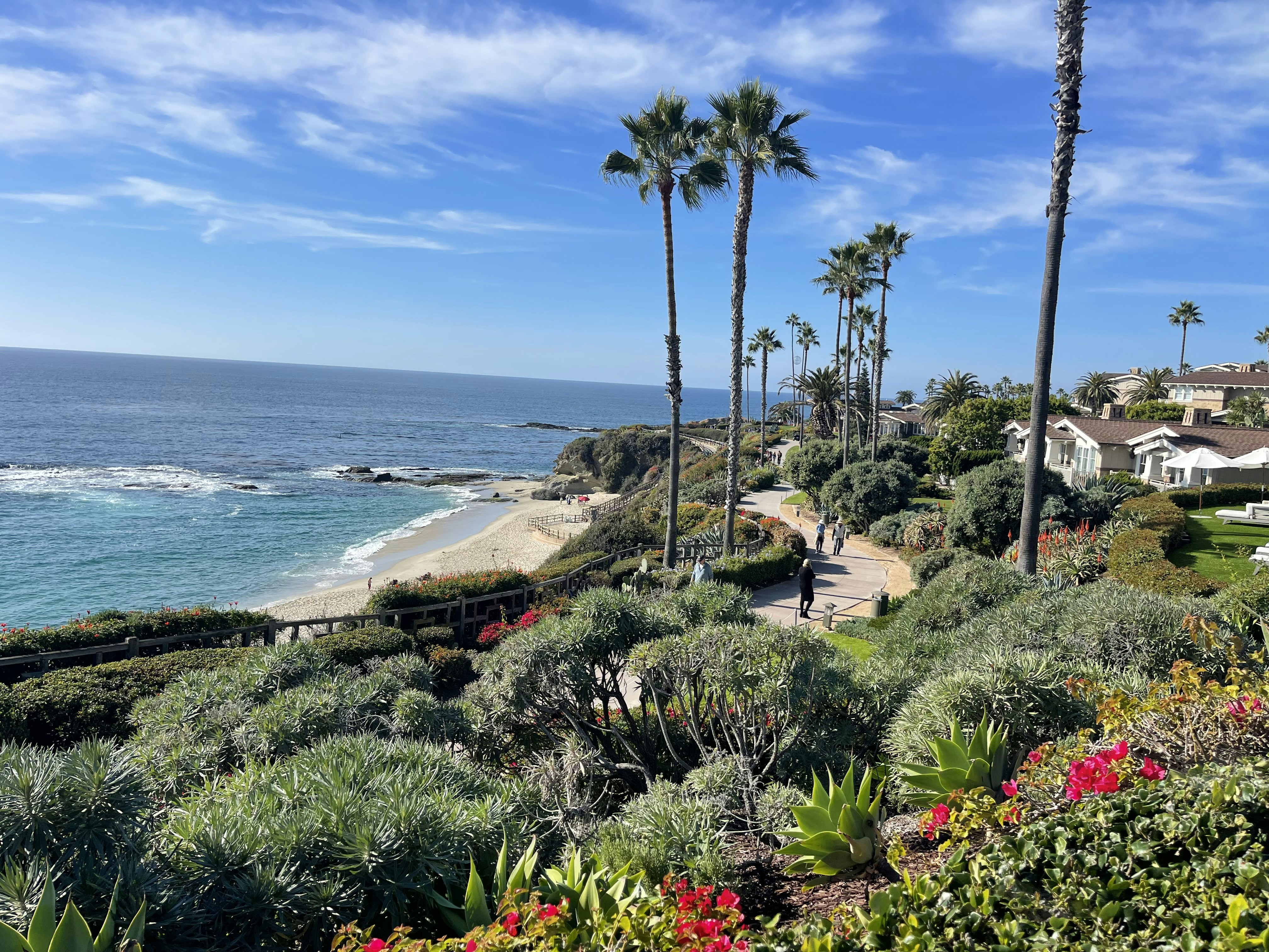 Path Through a Coastal Garden Toward a Blue Horizon
