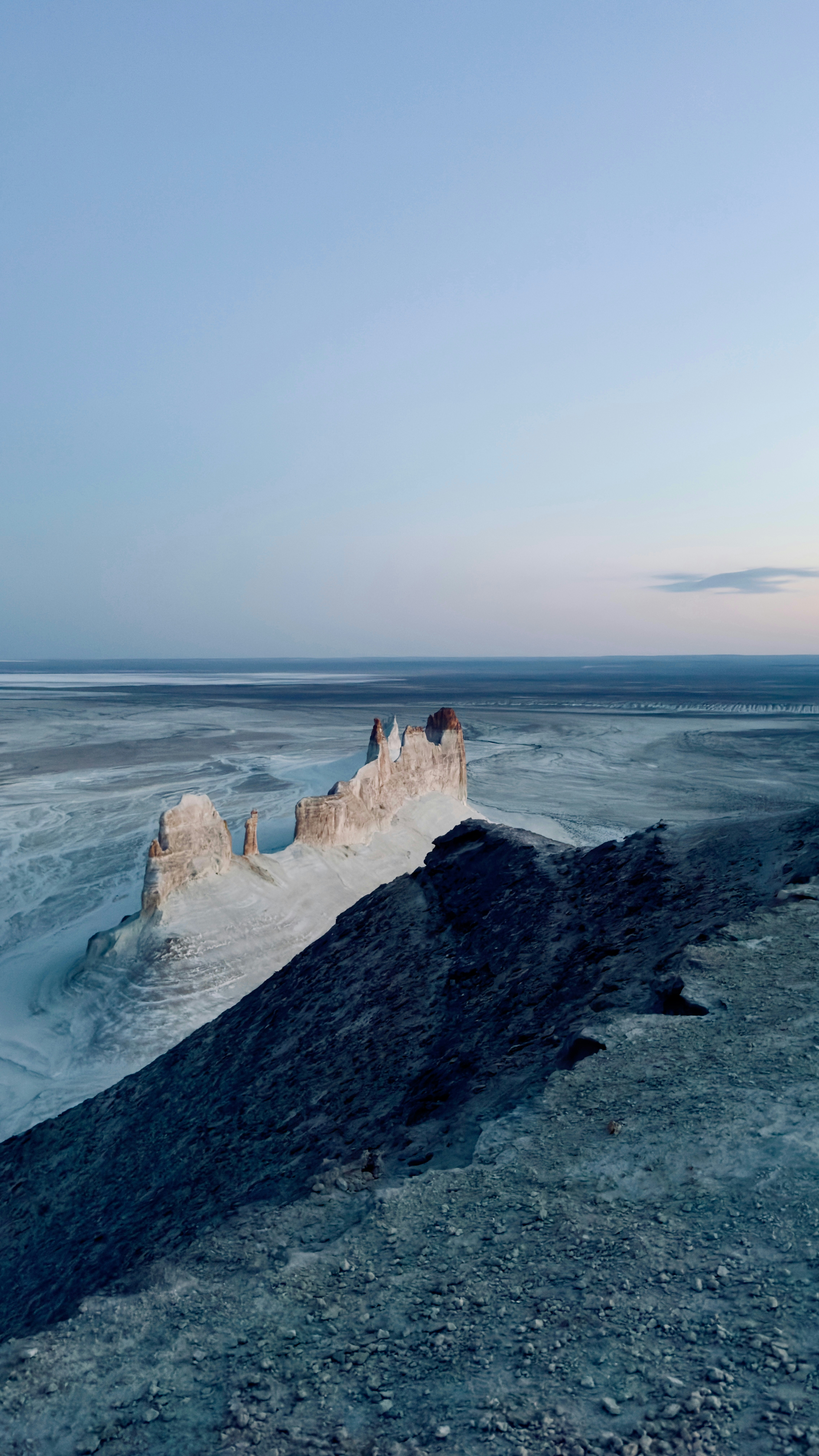 Silent Sentinels of the Shoreline