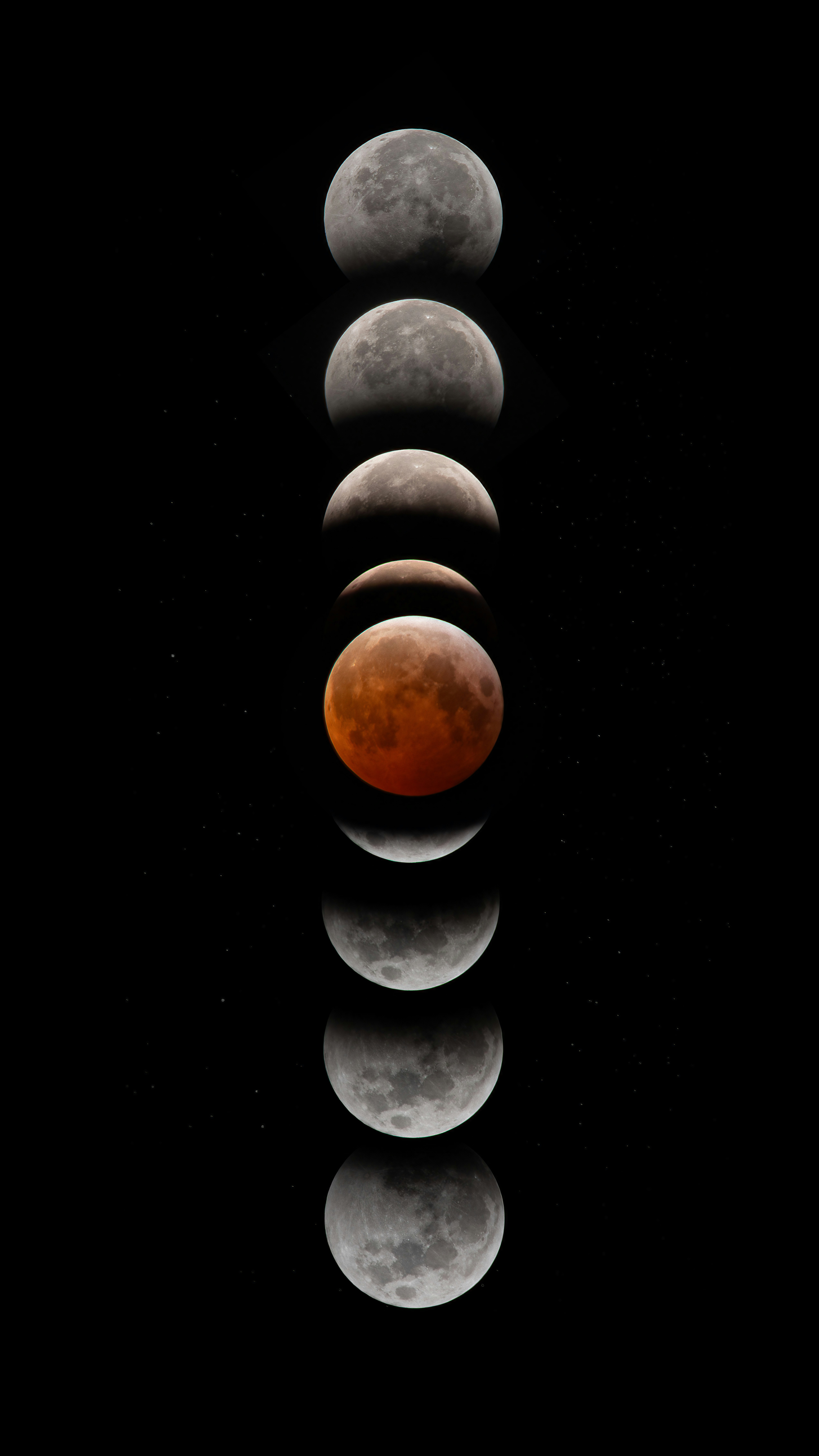 Lunar eclipse phases, captured in sequence. photo – Free Moon Image on ...