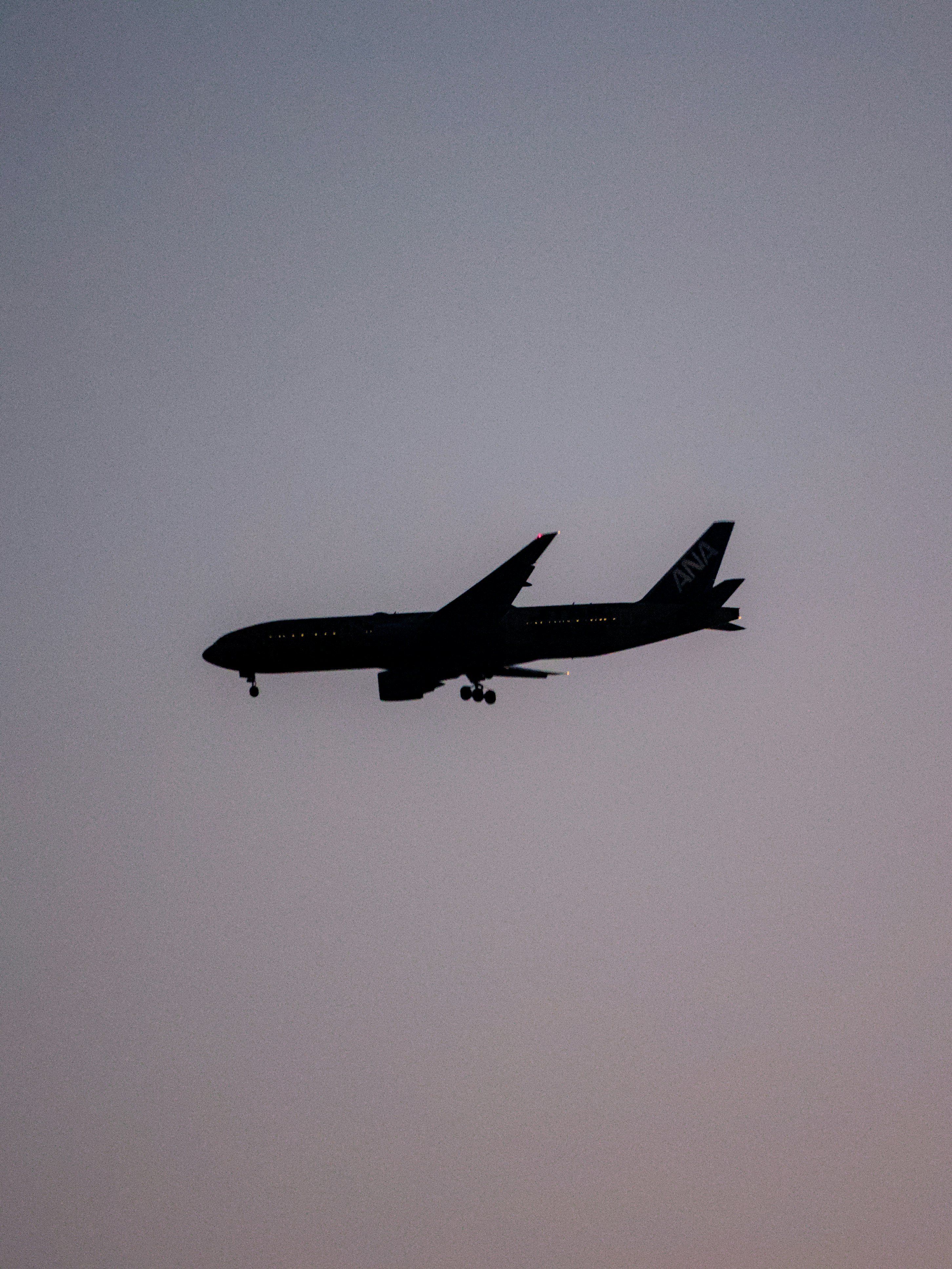 Dusky Descent: ANA Jet Silhouette in a Gradient Sky