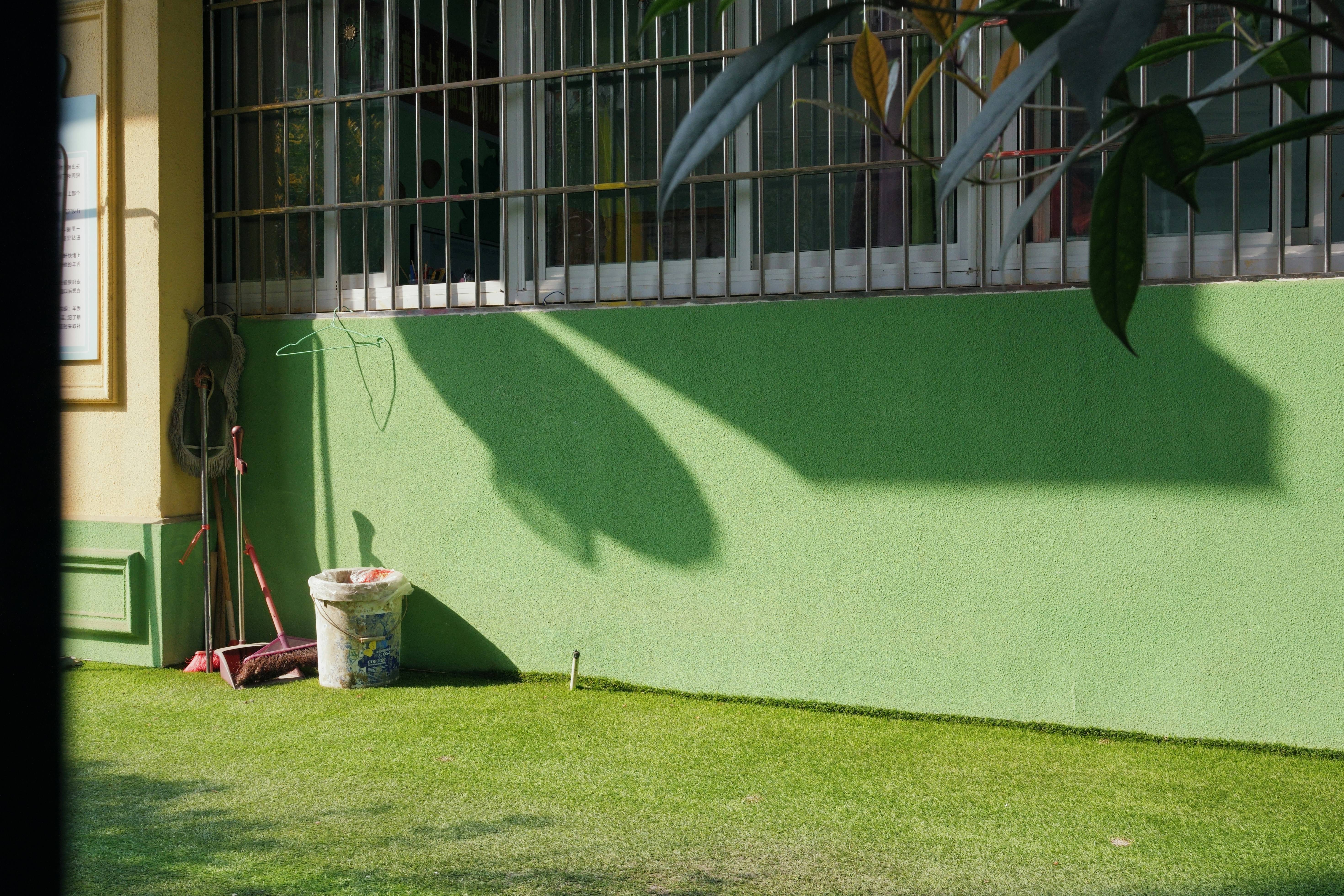 Green wall, window, grass, and shadows. photo – Free Plant Image on ...