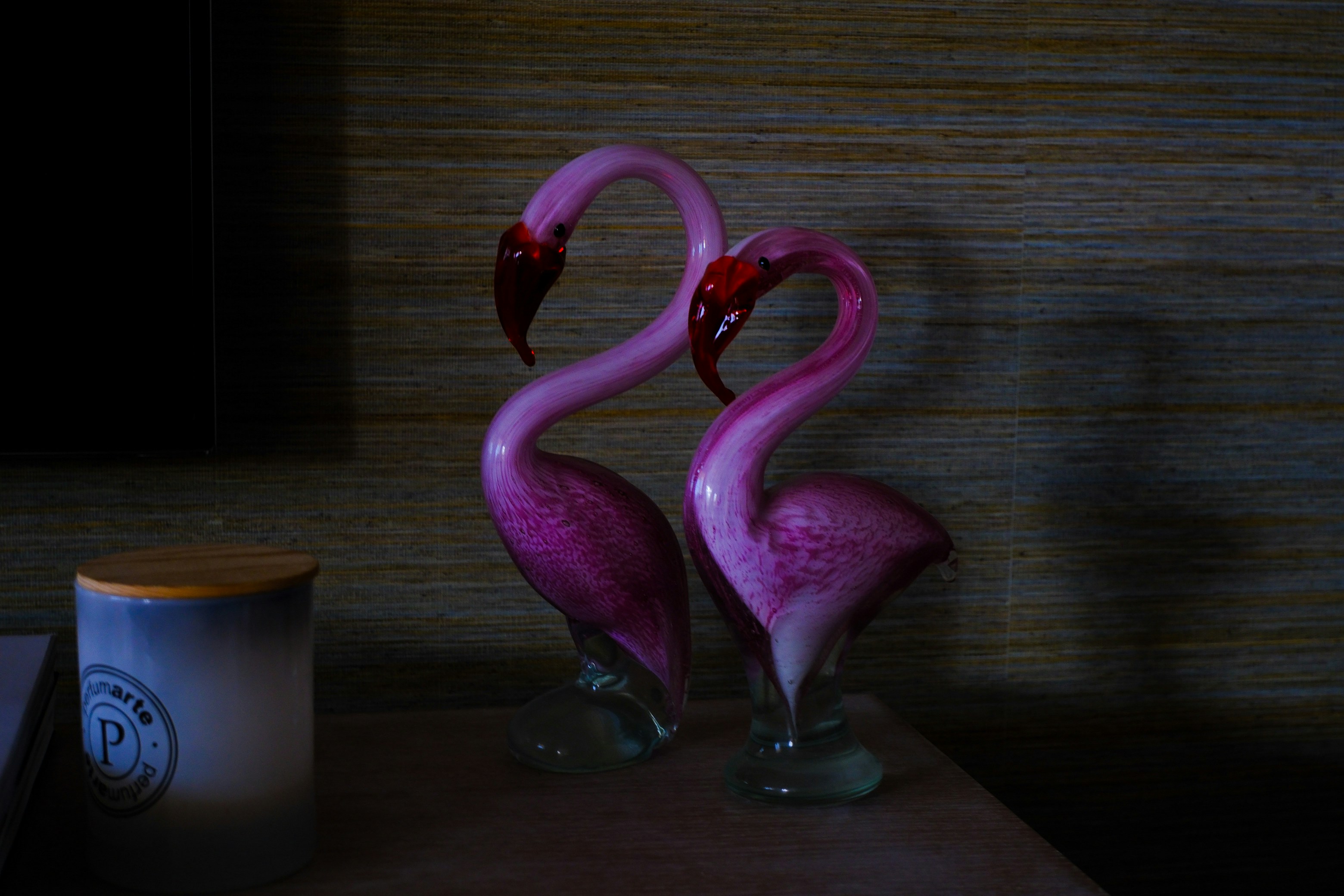 Twin Flamingos in Evening Light