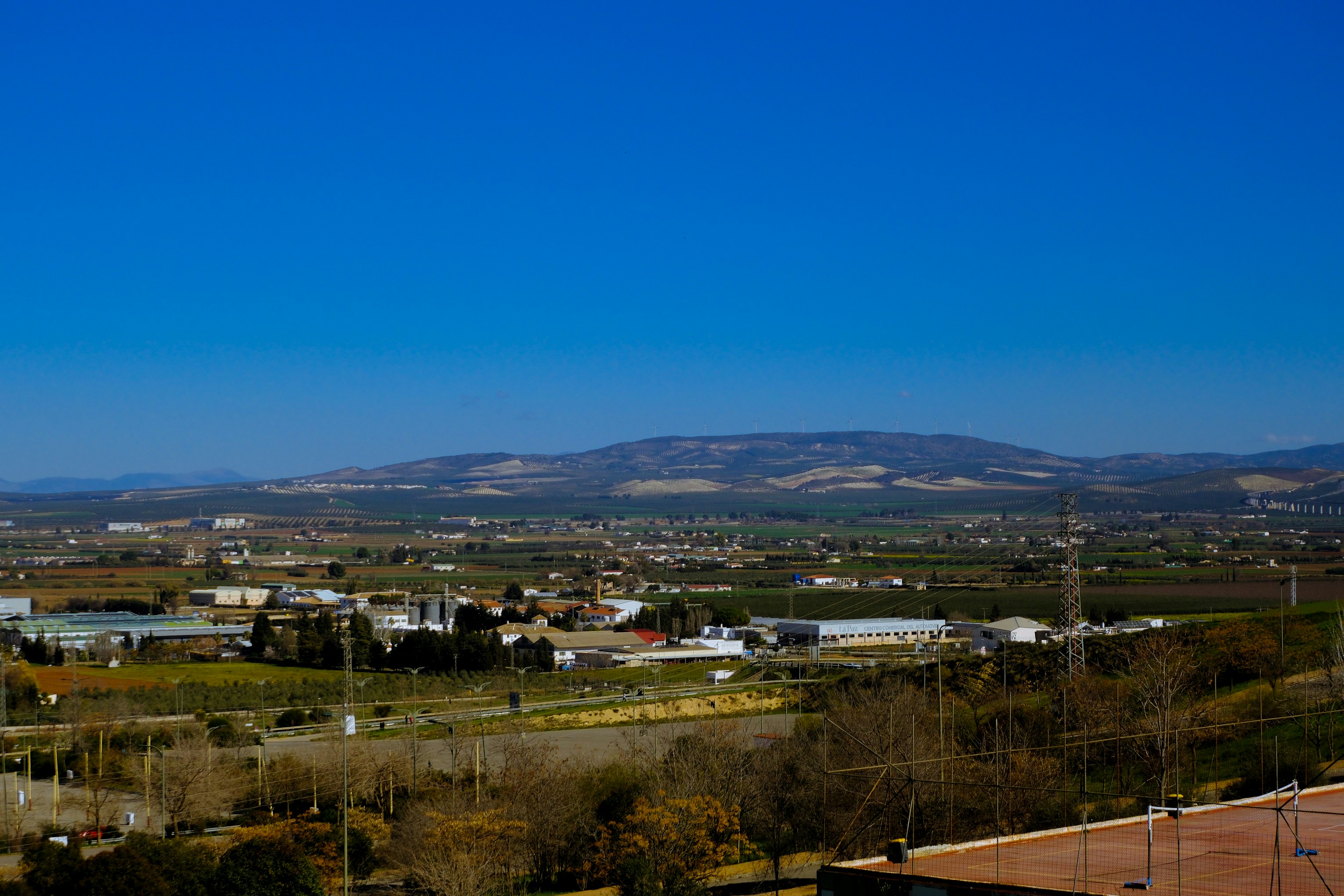 A sprawling cityscape with a mountain in the distance.