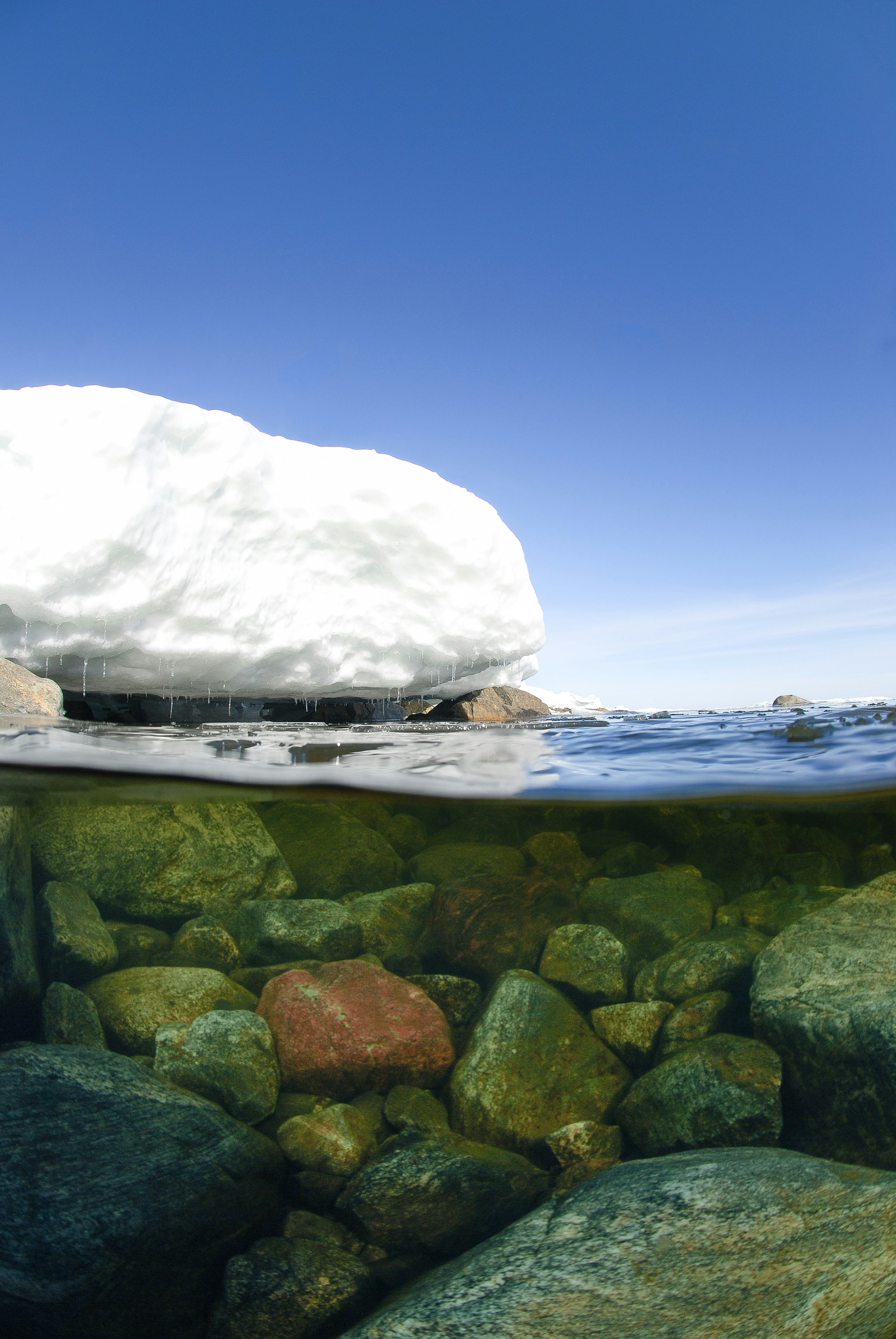 Split Horizon: Iceberg Above, Pebble Sea Below