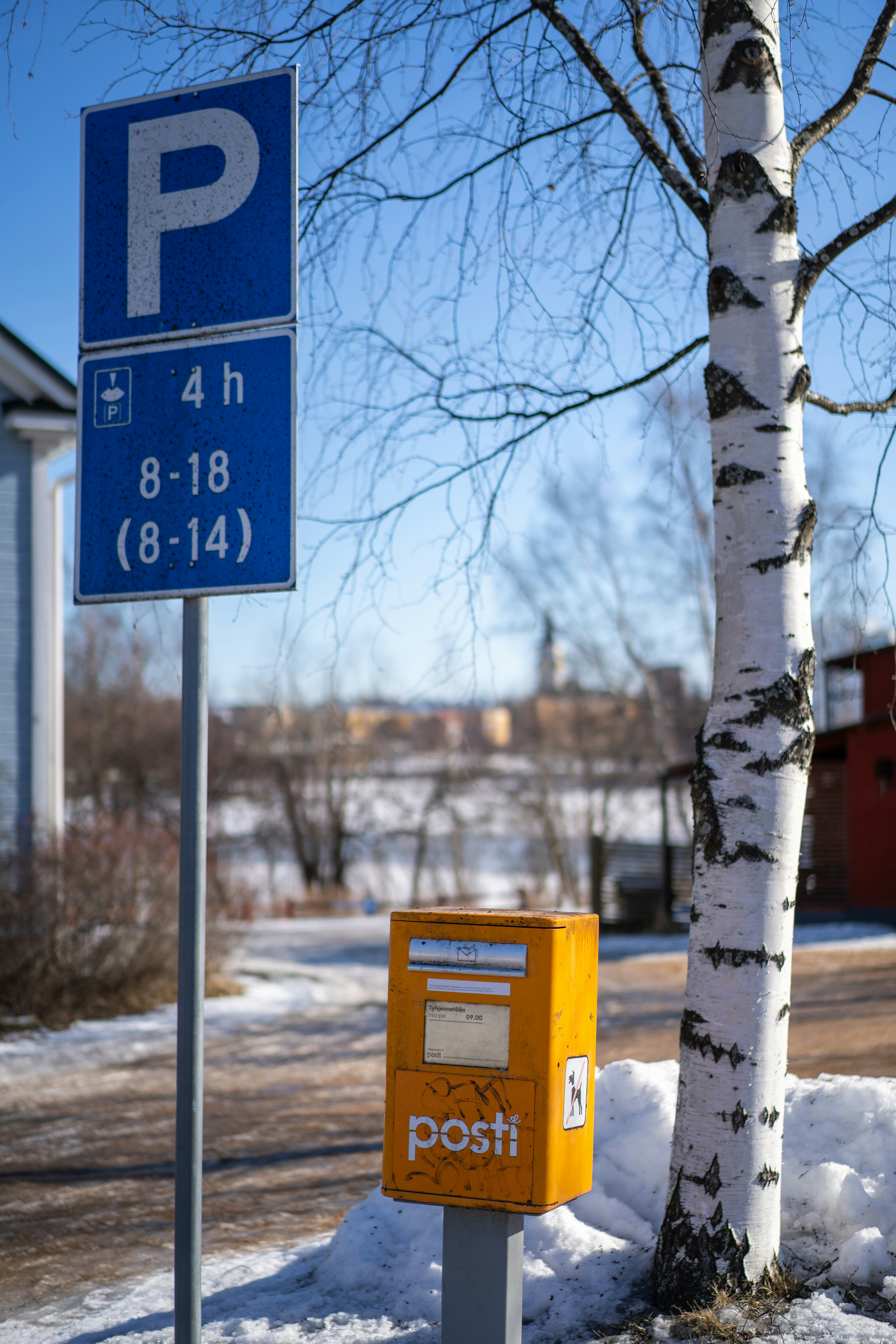 Urban Harmony: A Snapshot of Everyday Life