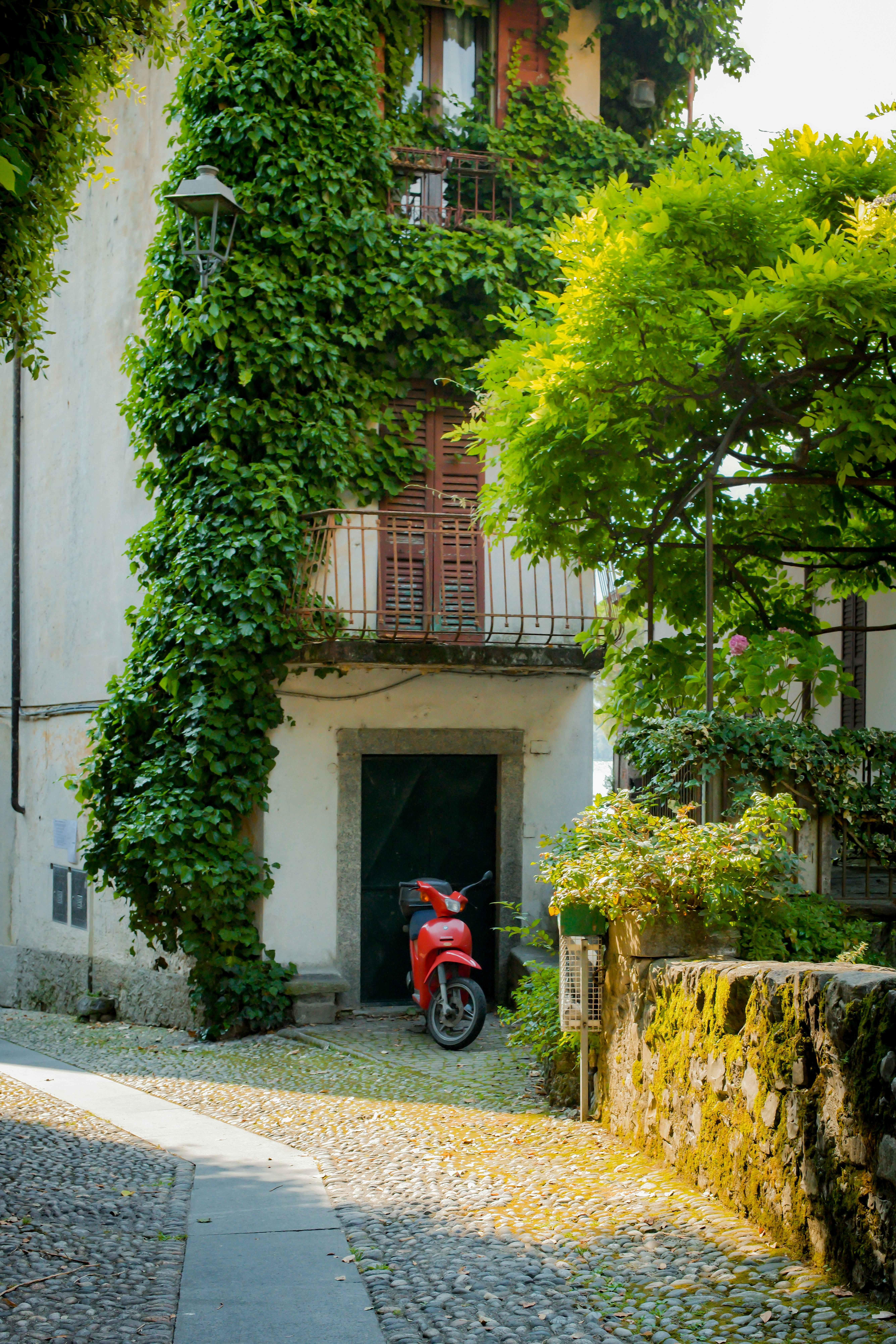 Crimson Scooter in an Ivy-Framed Courtyard