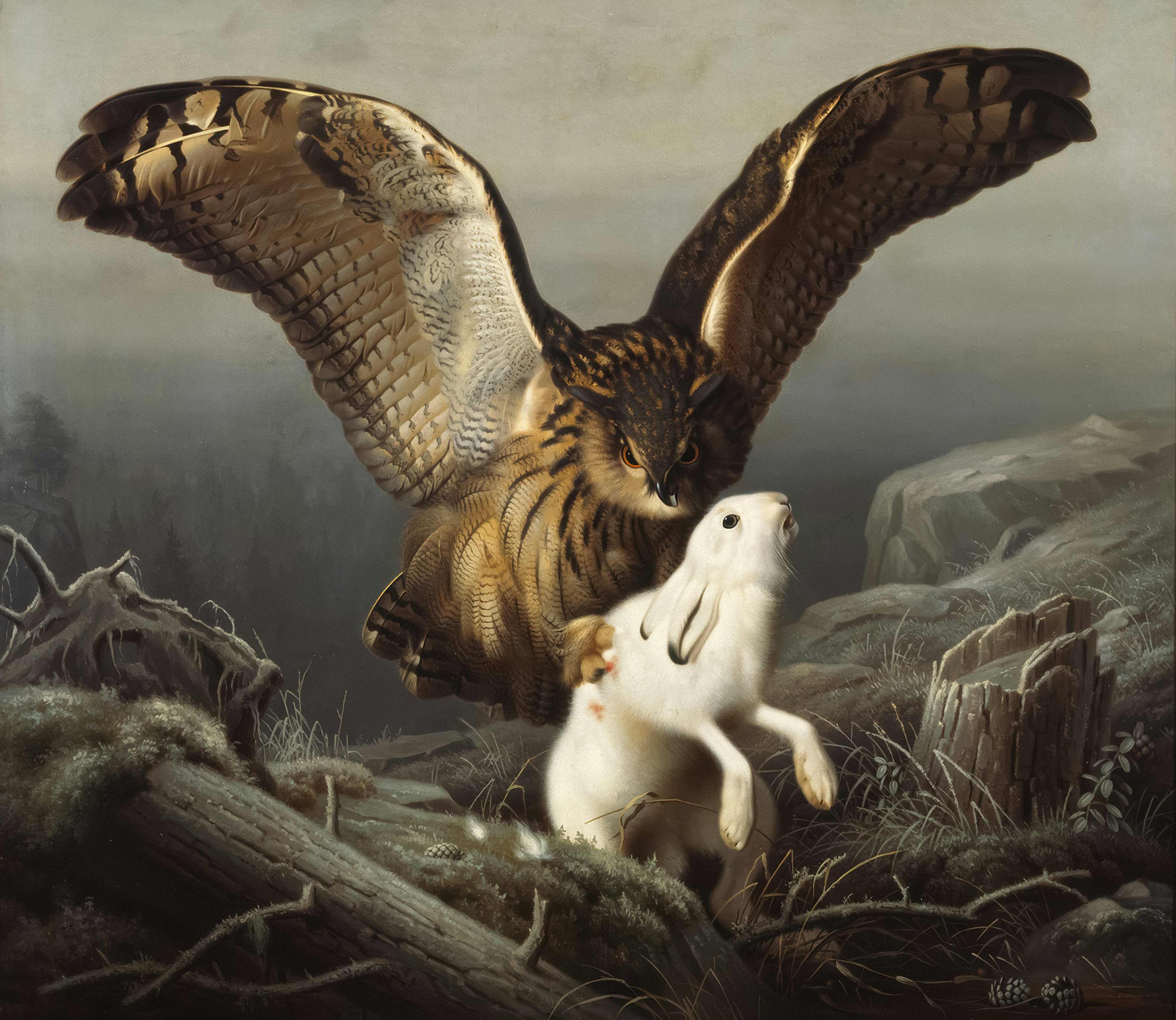 An owl attacks a rabbit in a forest setting. photo – Free Art Image on ...