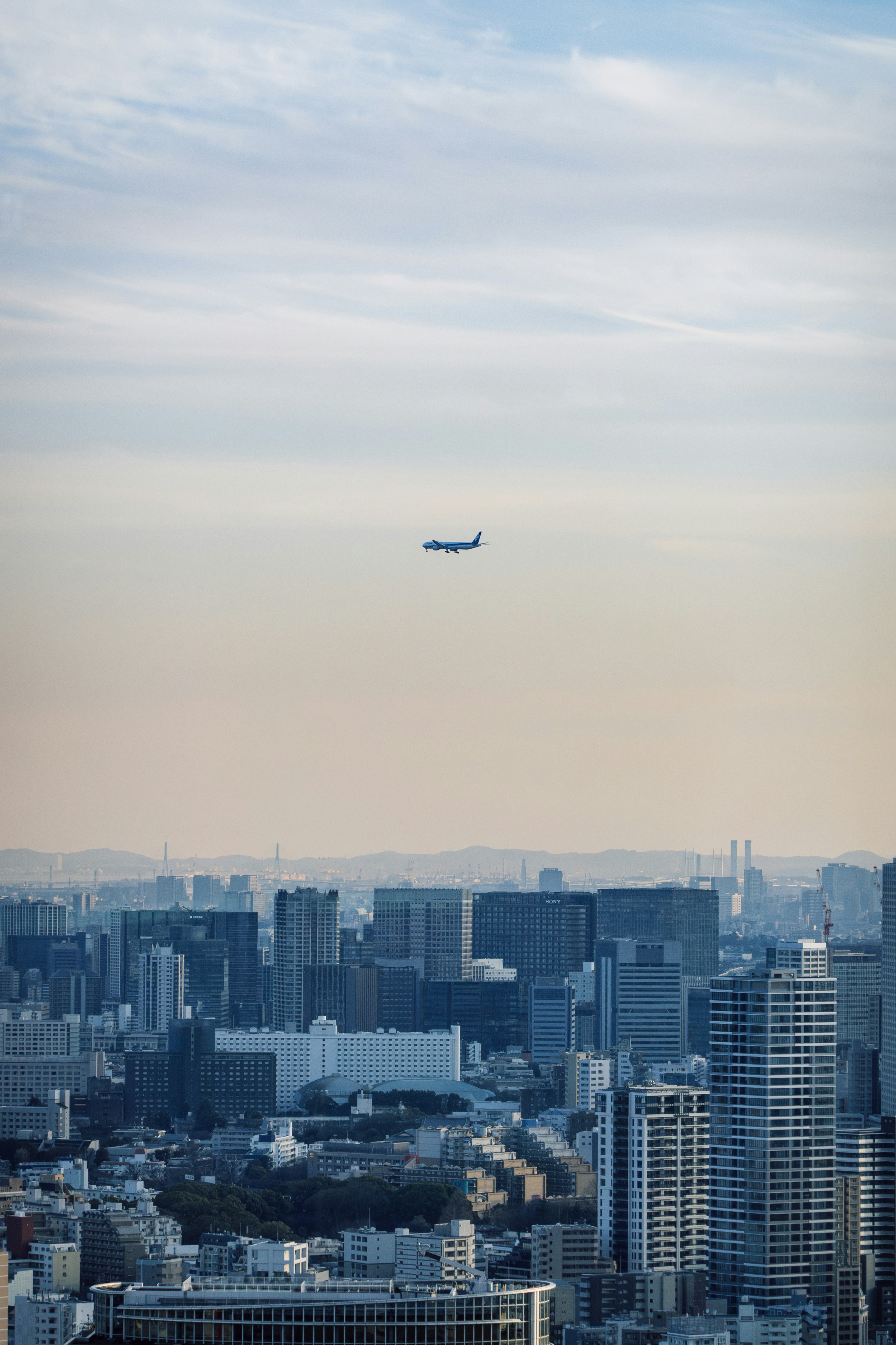 Jet in the pale haze over a sleeping metropolis