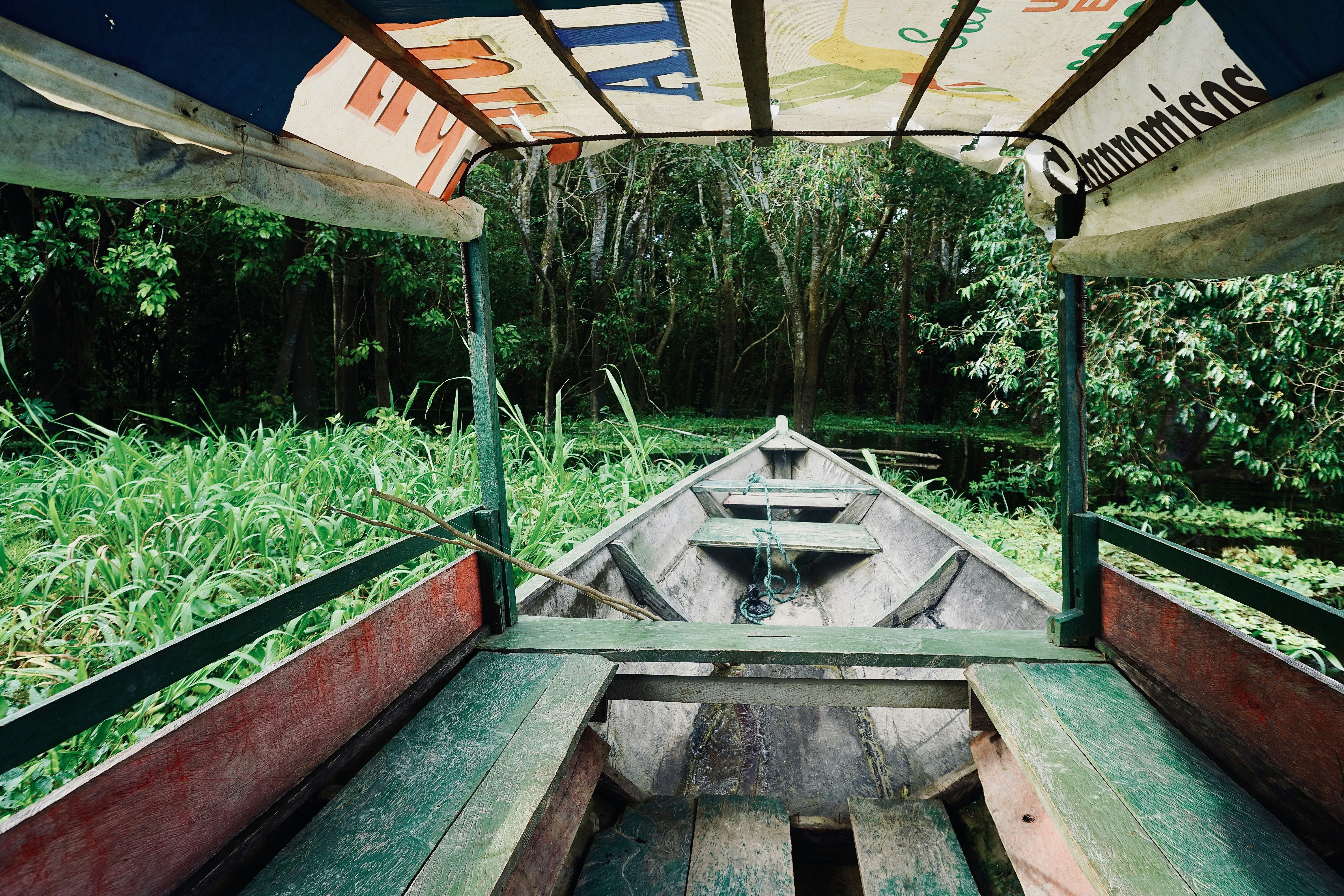 Symmetry on the River: A Canoe Glides Toward the Emerald Jungle