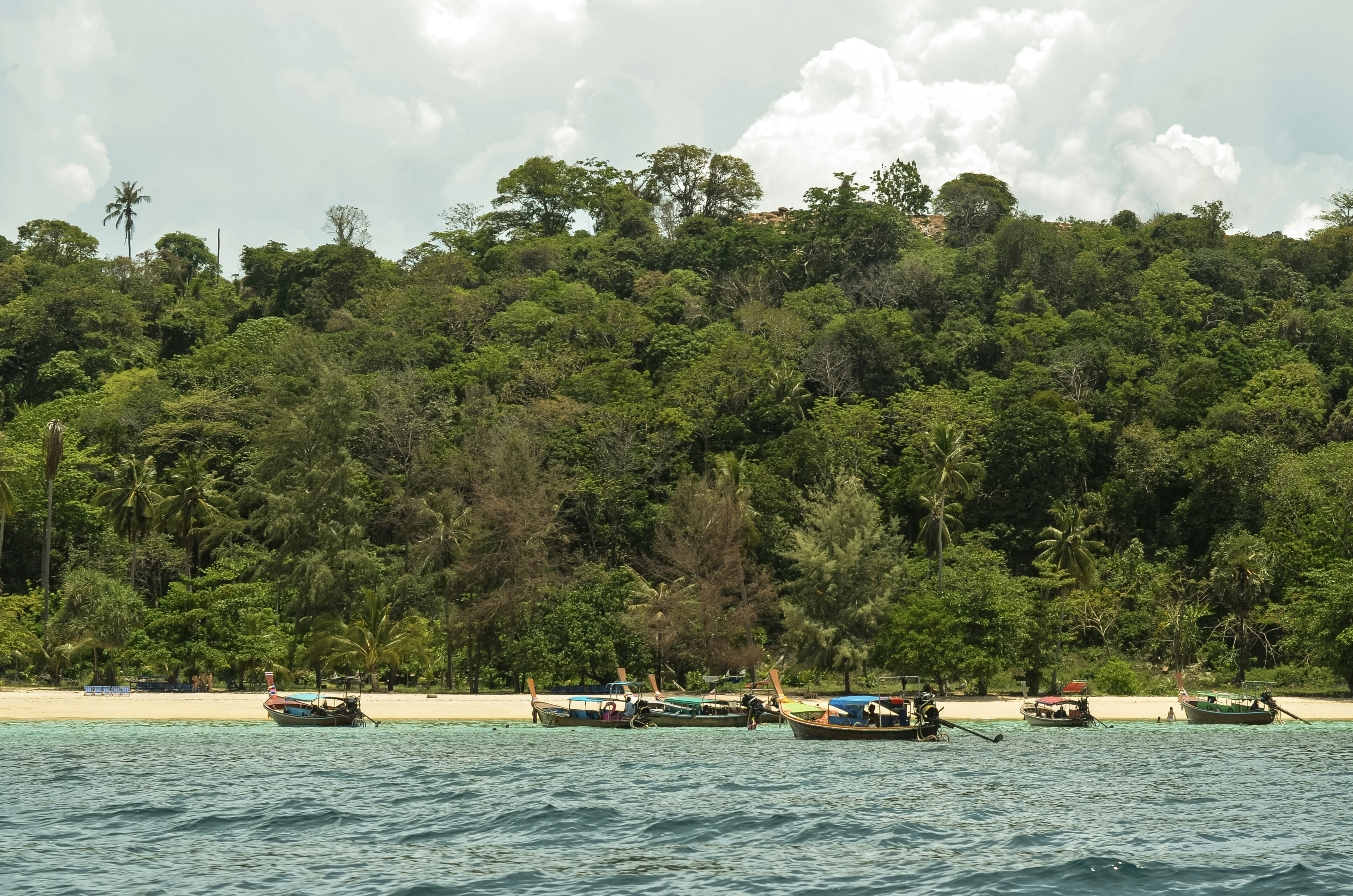 Harmony of Nature and Tradition by the Shore