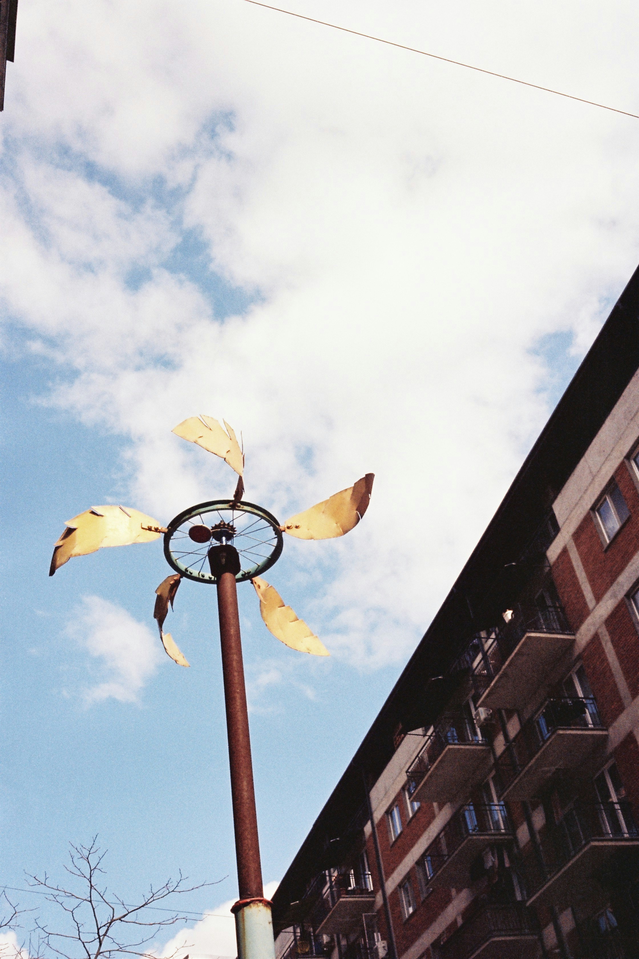 Rotating Wind-Driven Seams: A Wind-Tossed Nightly Lantern