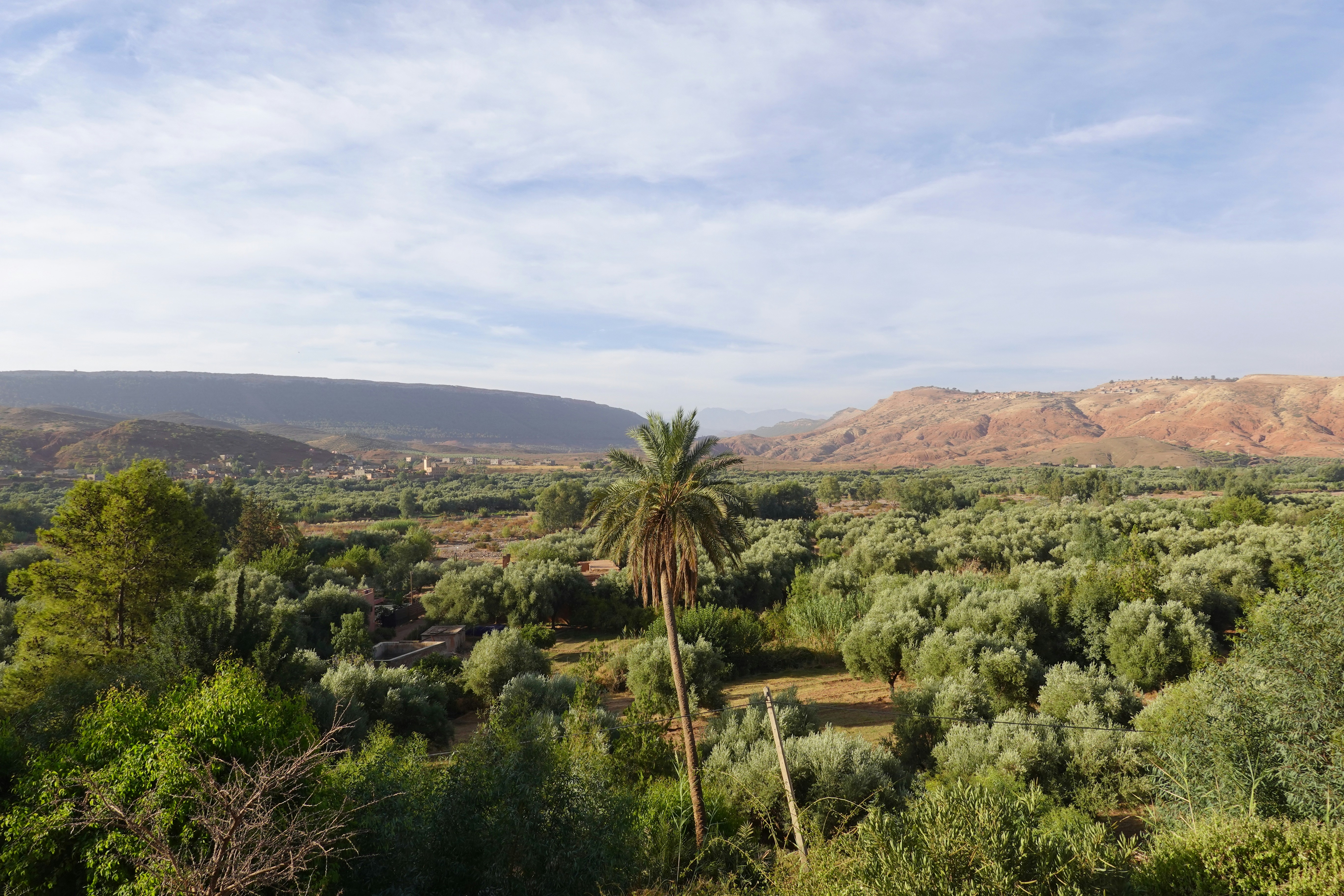 Lush green landscape with palm trees set against distant Moroccan mountains under a partly cloudy sky.
