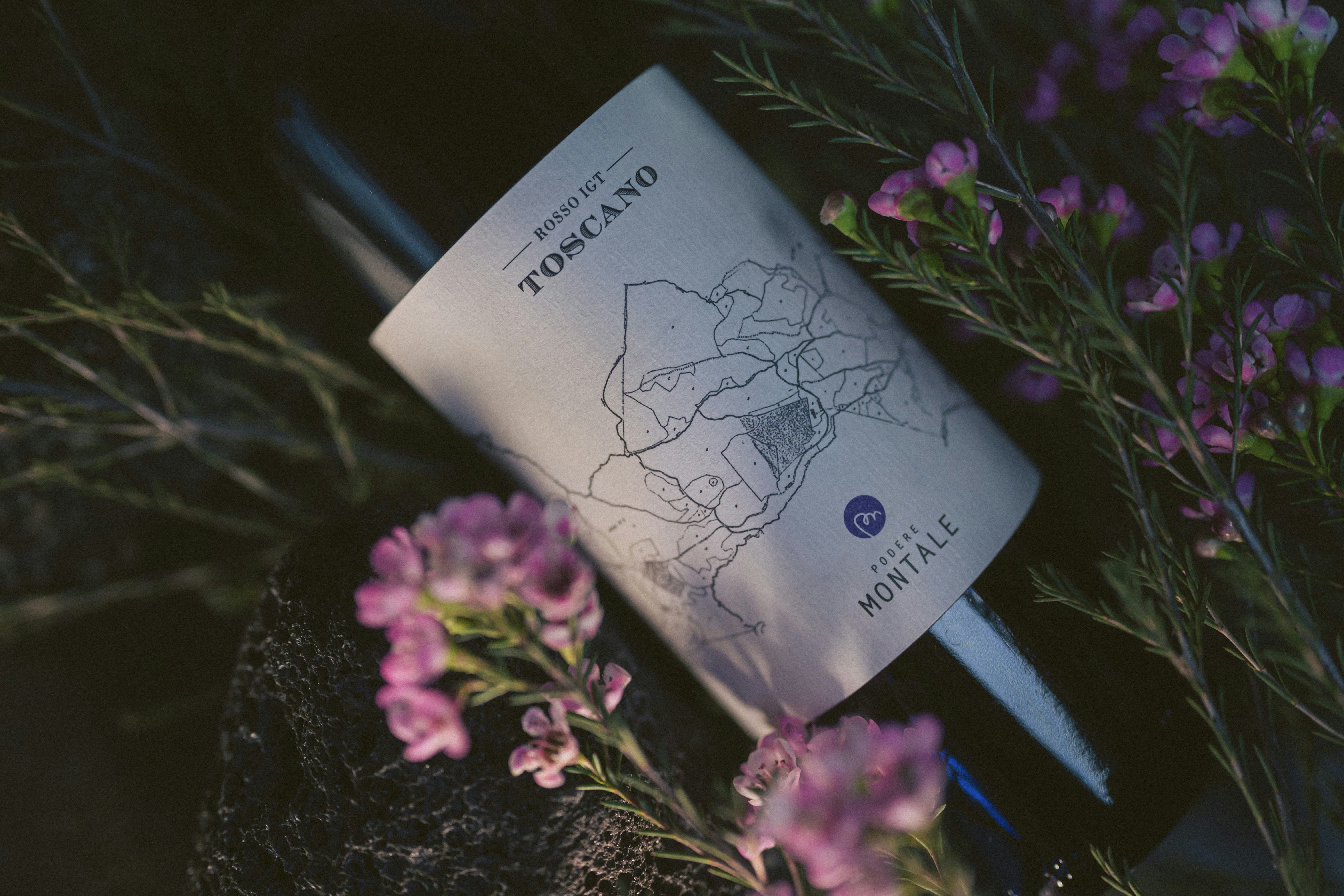 Moonlit Toscano Rosato Among Dusky Blooms